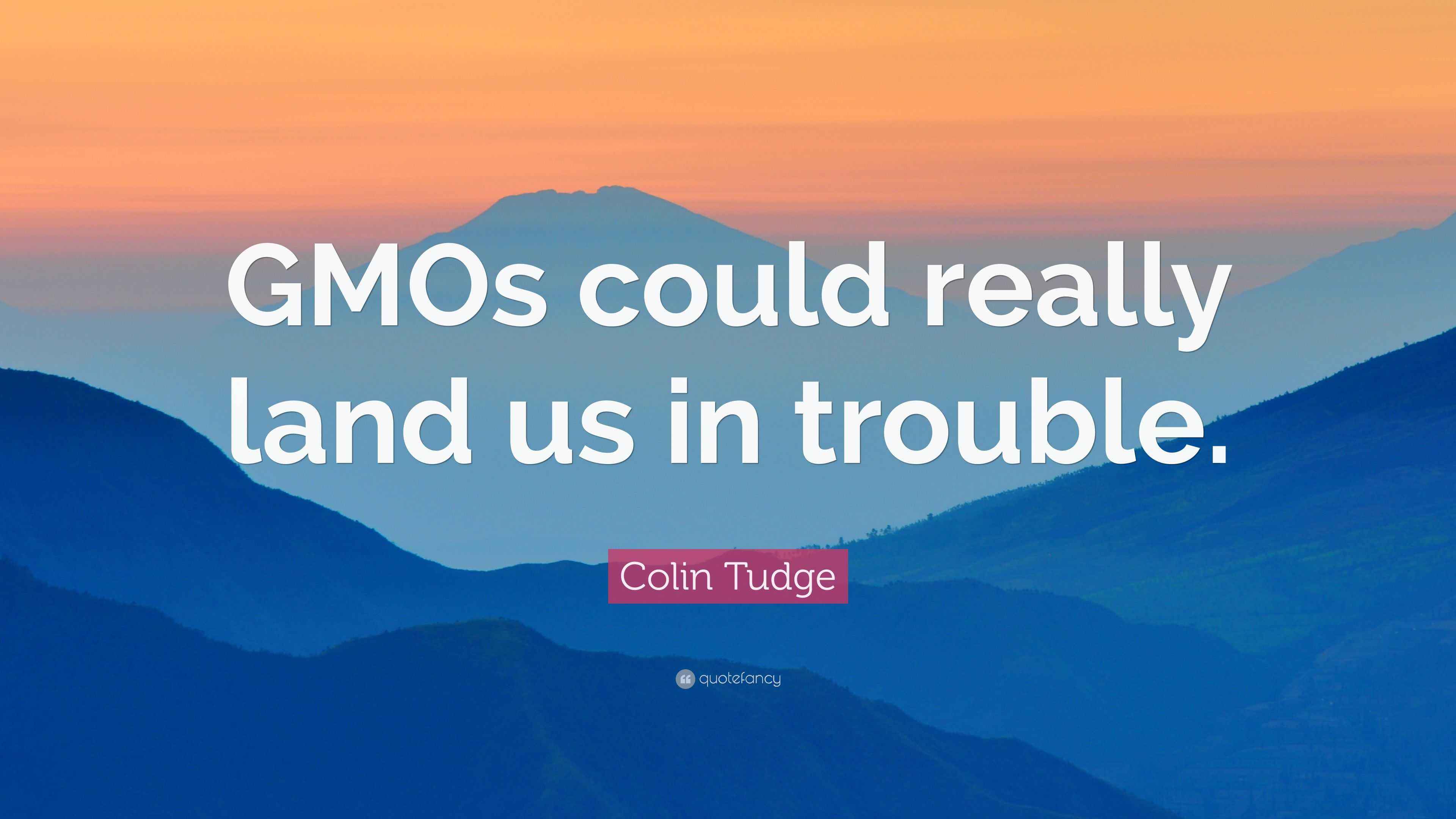 Colin Tudge Quote: “GMOs could really land us in trouble.”