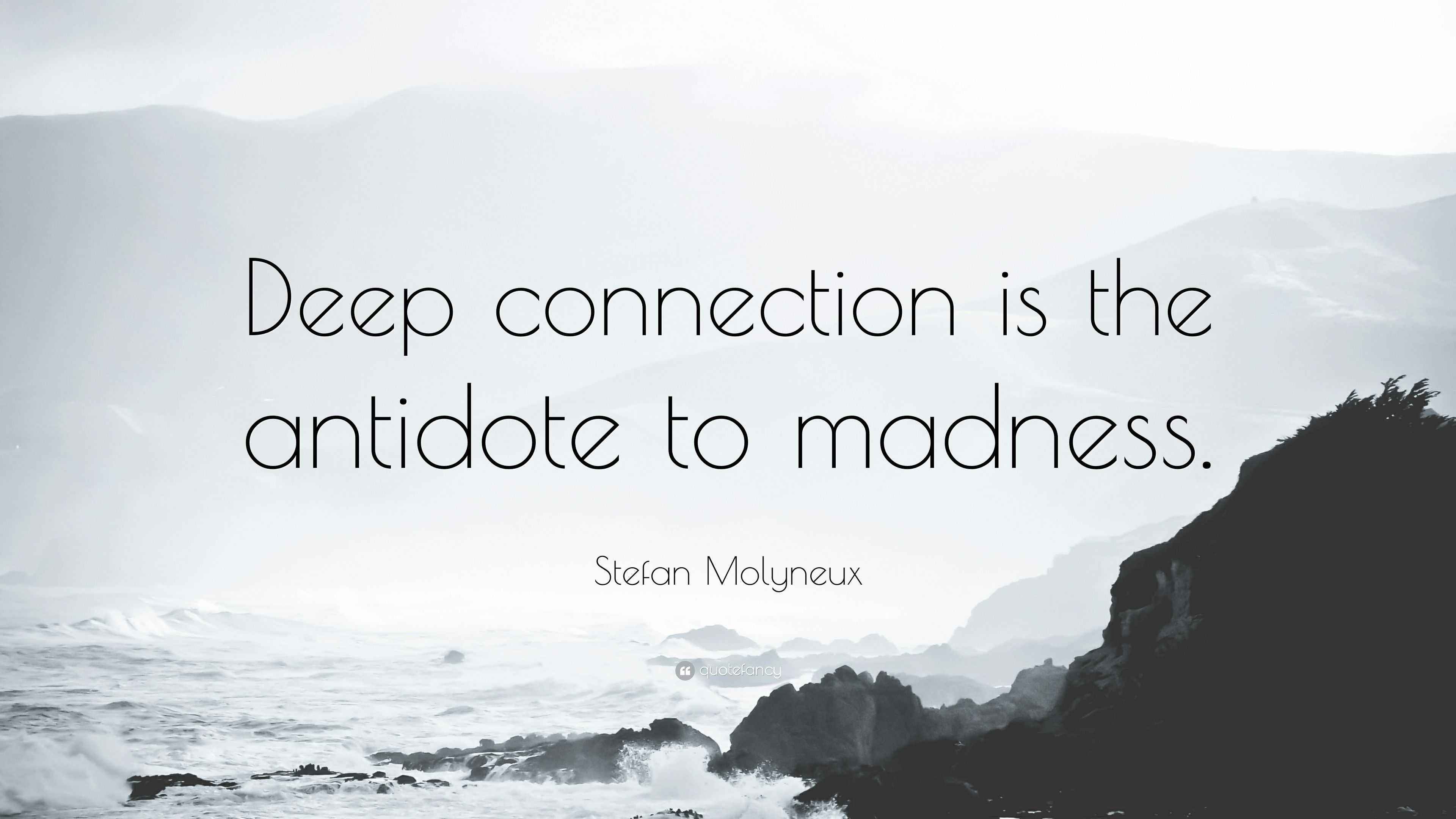 Stefan Molyneux Quote: “Deep connection is the antidote to madness.”