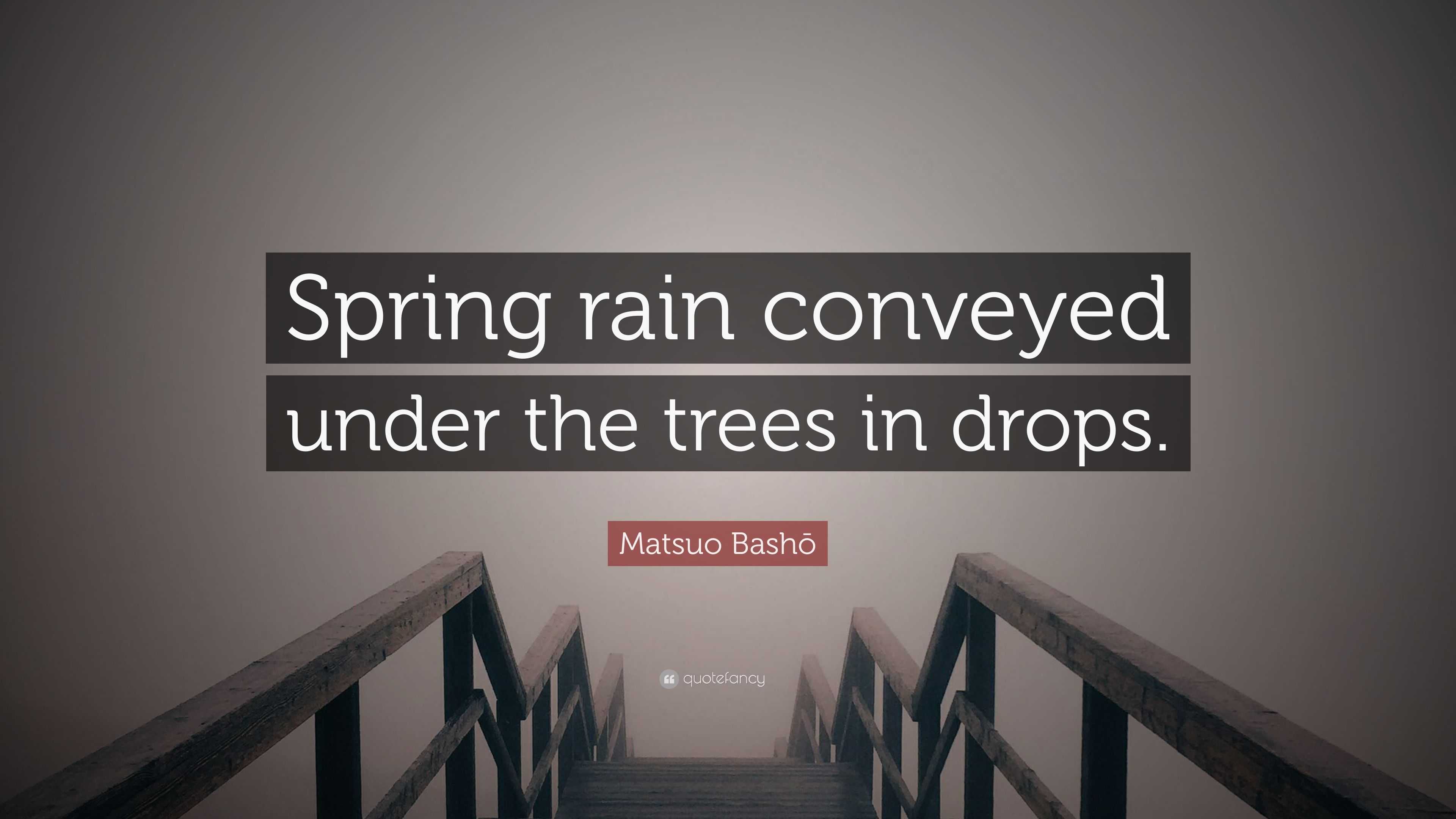 Matsuo Bashō Quote: “Spring rain conveyed under the trees in drops.”