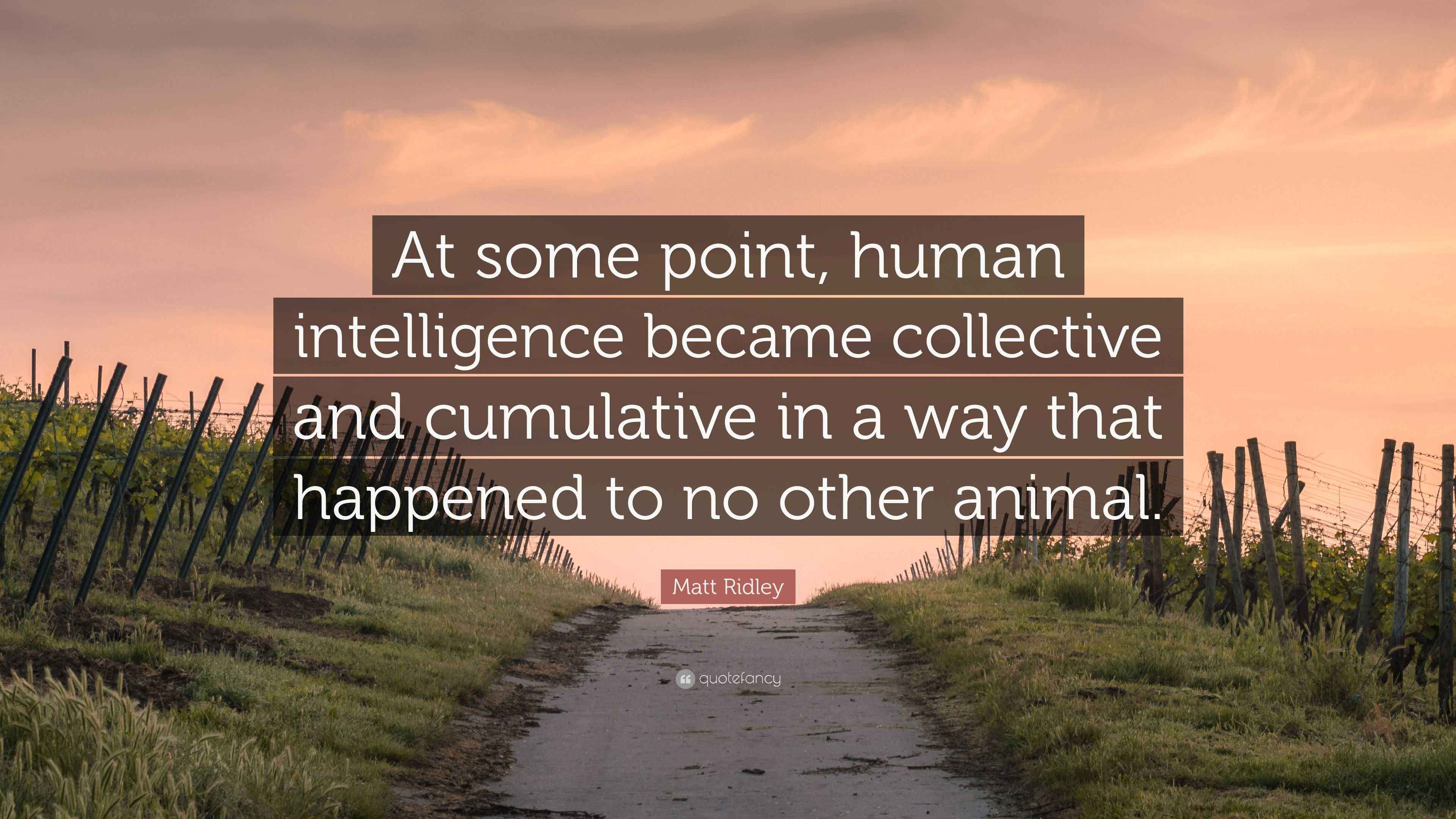 Matt Ridley Quote: “At some point, human intelligence became collective ...