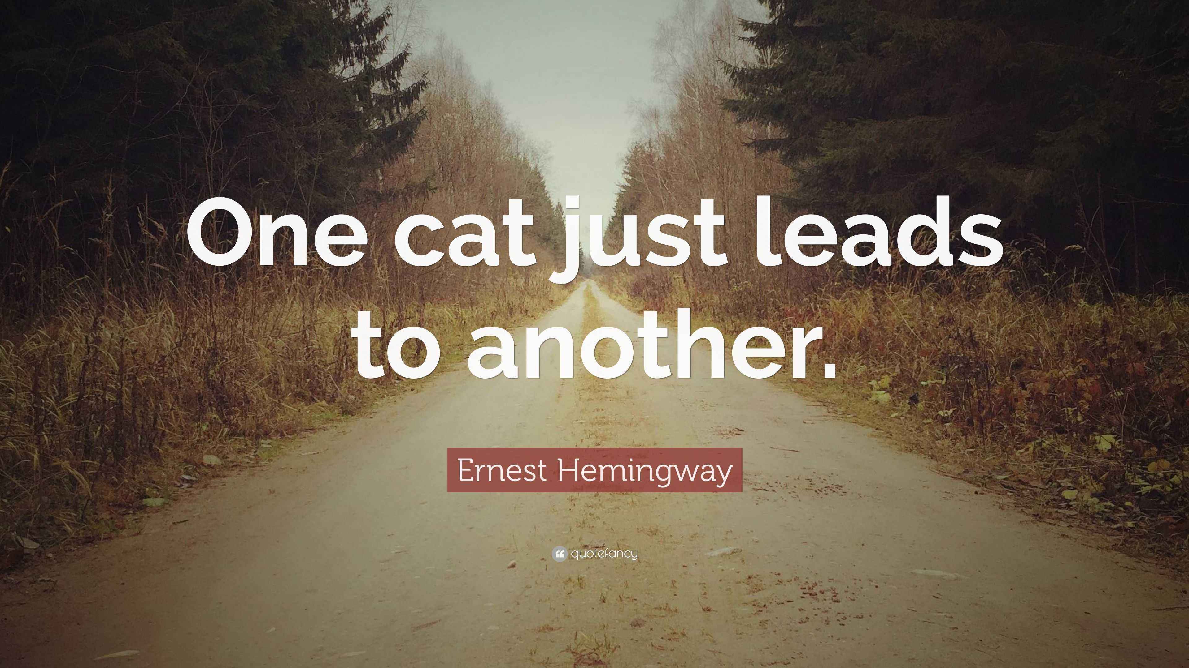 Ernest Hemingway Quote: “One cat just leads to another.”