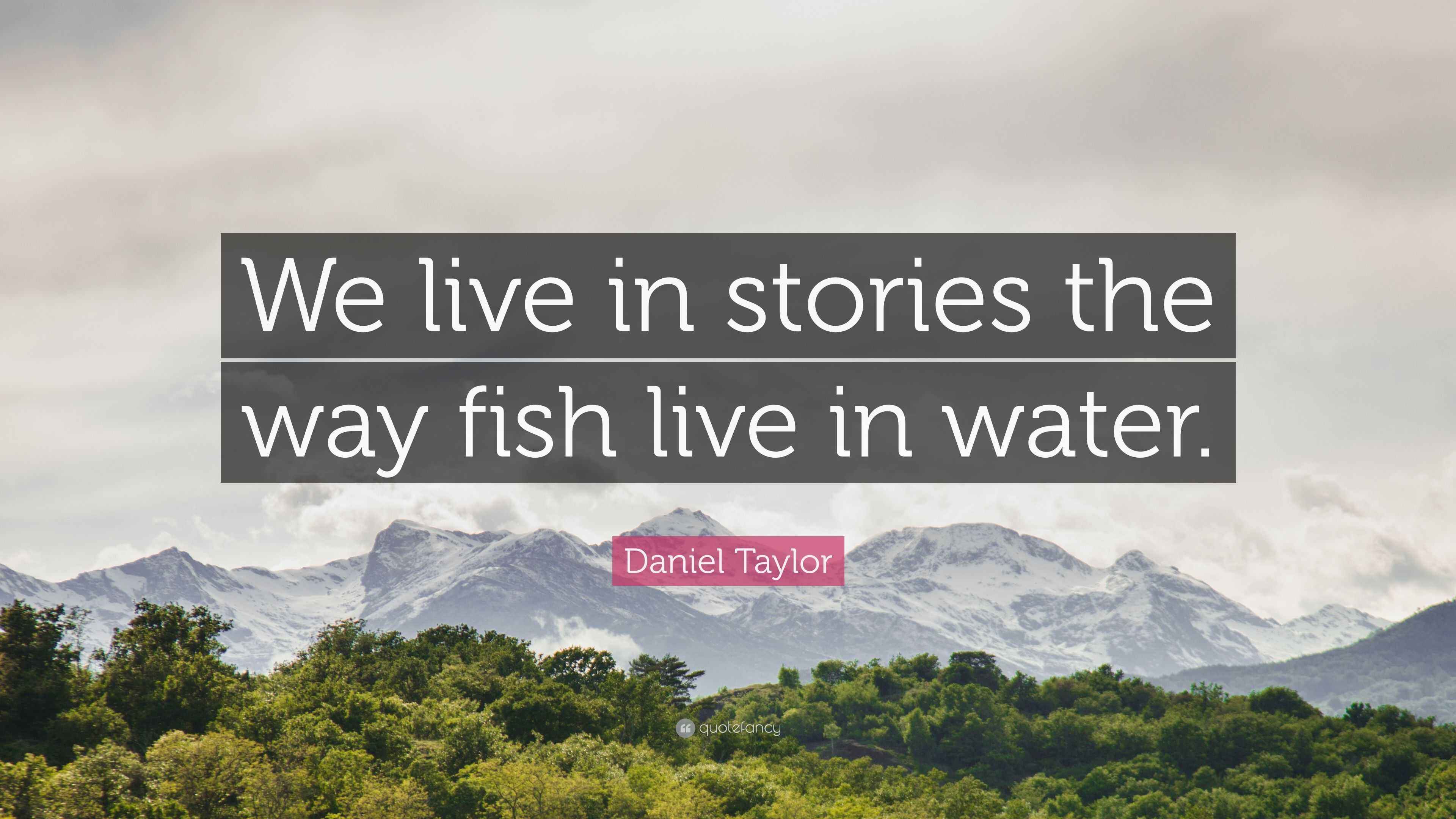 Daniel Taylor Quote: “We live in stories the way fish live in water.”