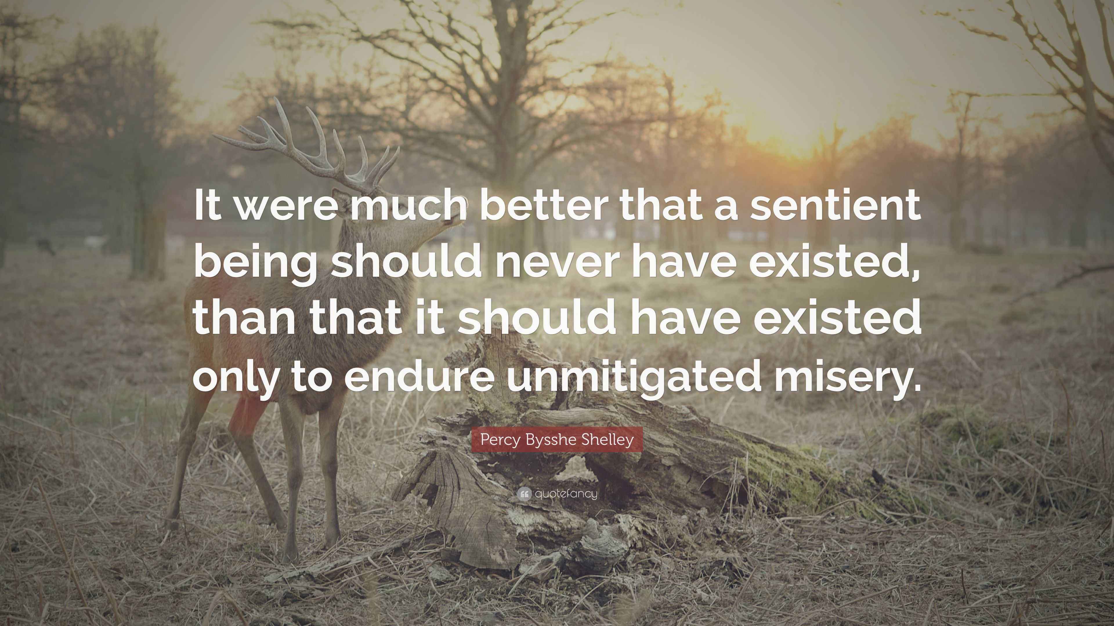 Percy Bysshe Shelley Quote: “It were much better that a sentient being ...