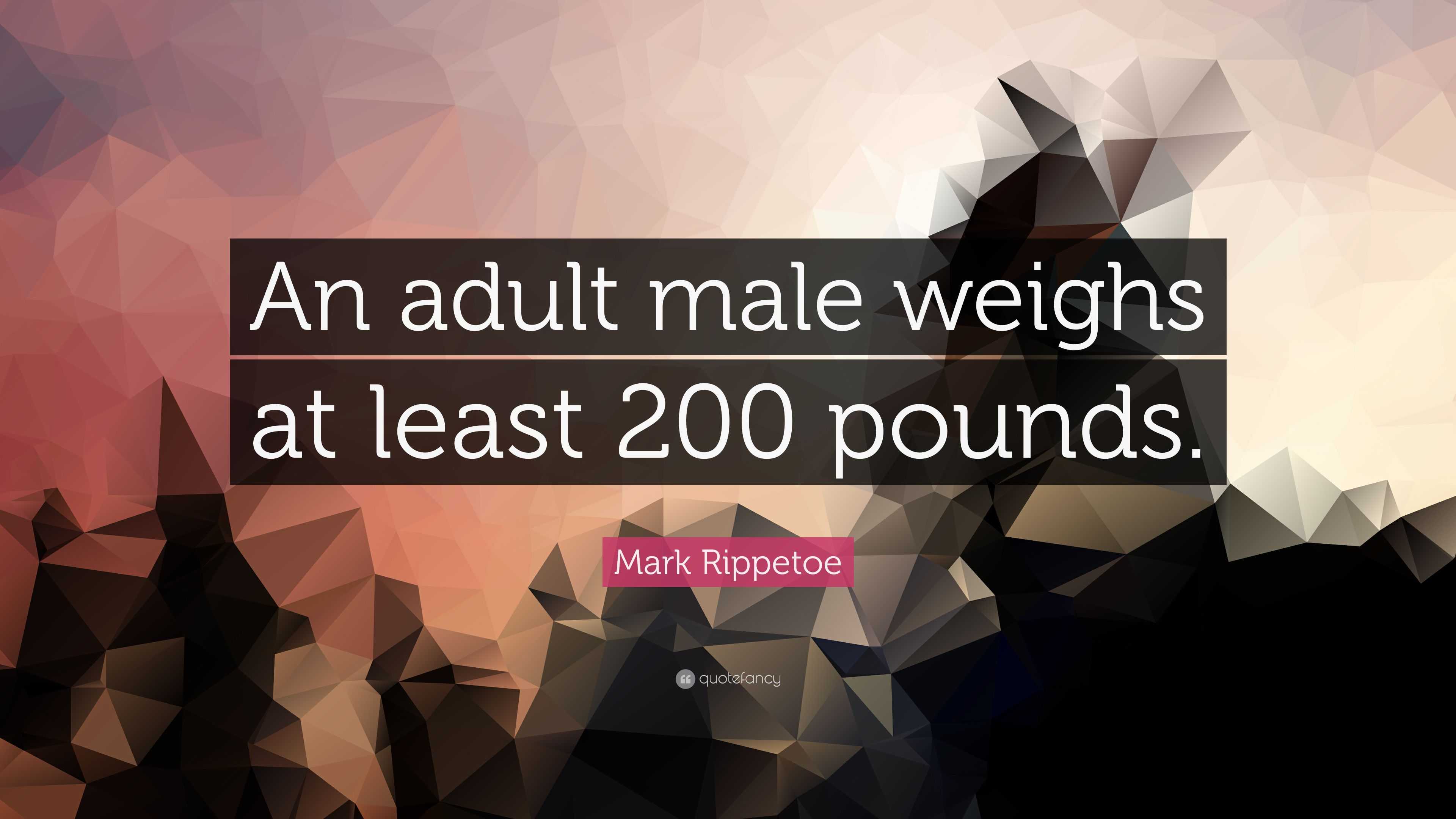 Mark Rippetoe Quote: “An adult male weighs at least 200 pounds.”