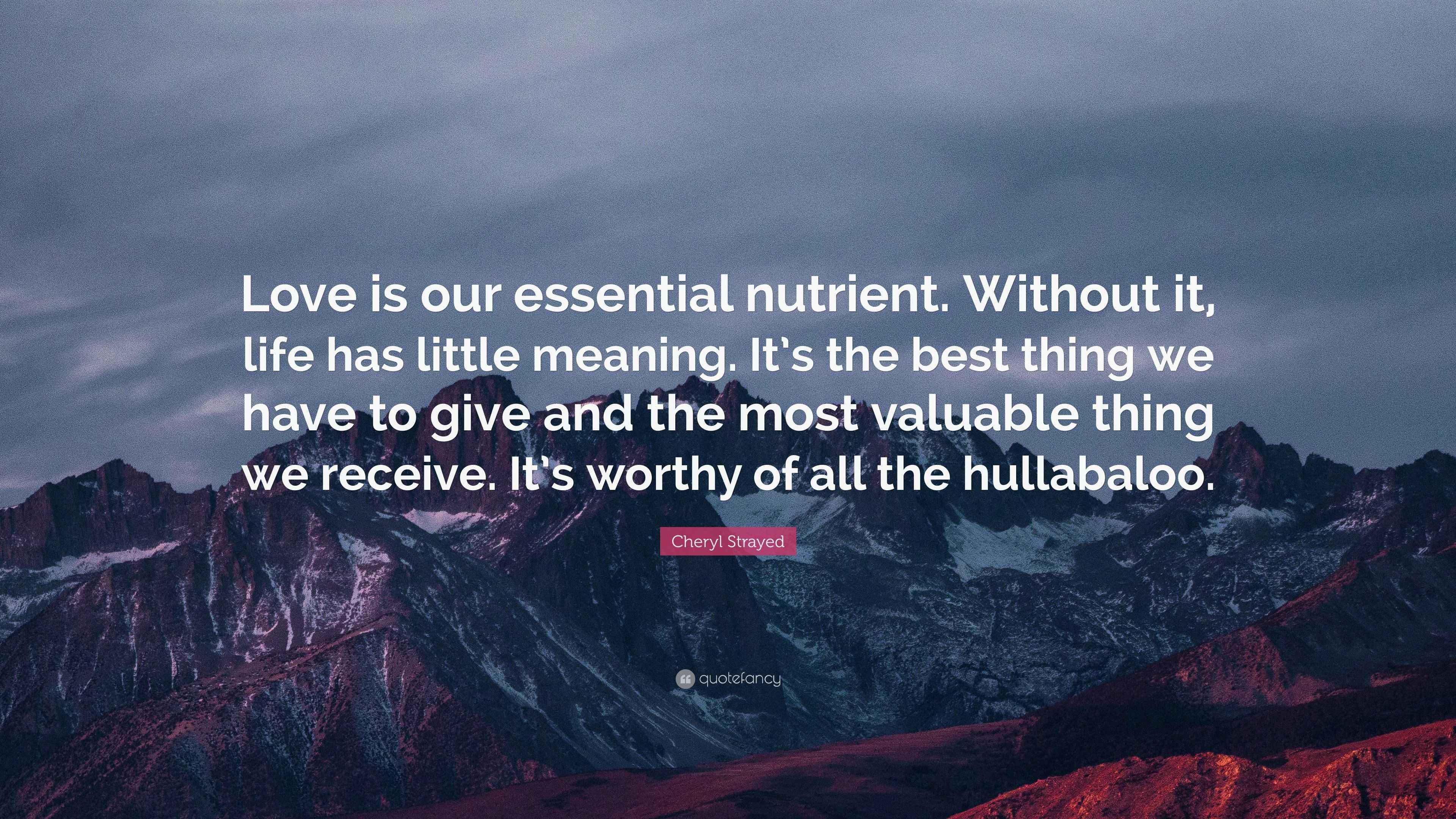 Cheryl Strayed Quote: “Love is our essential nutrient. Without it, life ...