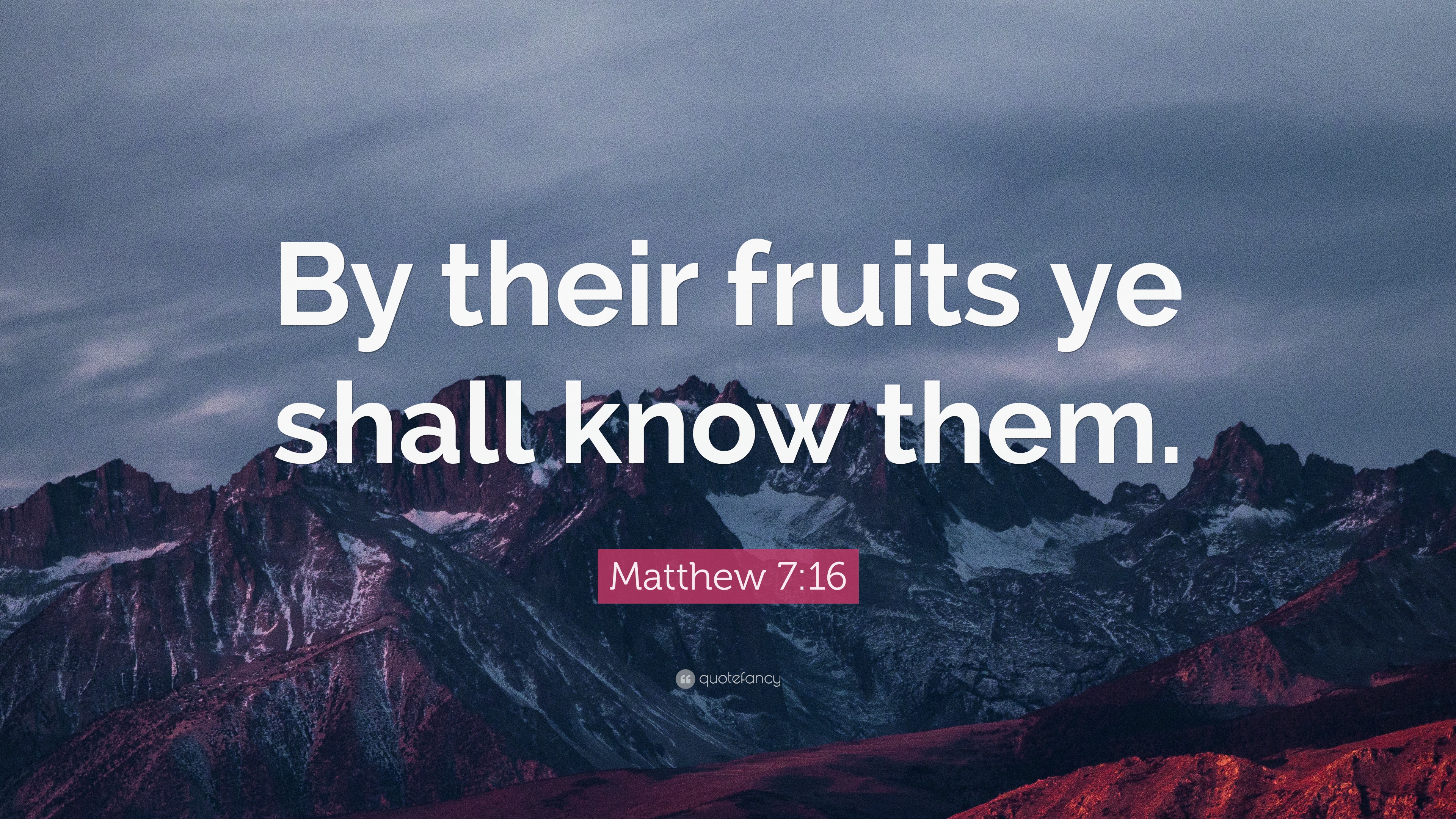 Matthew 7:16 Quote: “By their fruits ye shall know them.”