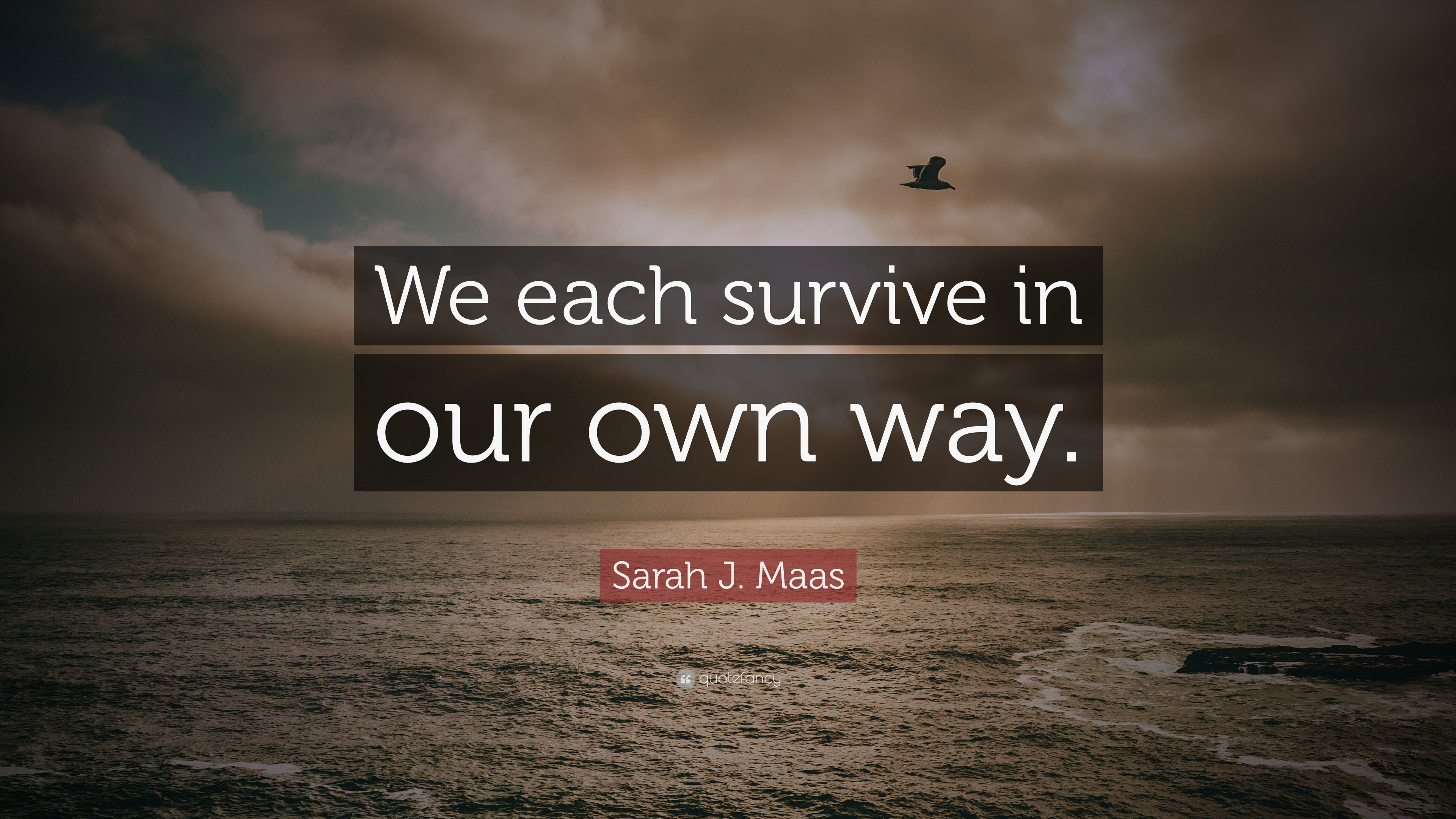 Sarah J. Maas Quote: “We each survive in our own way.”