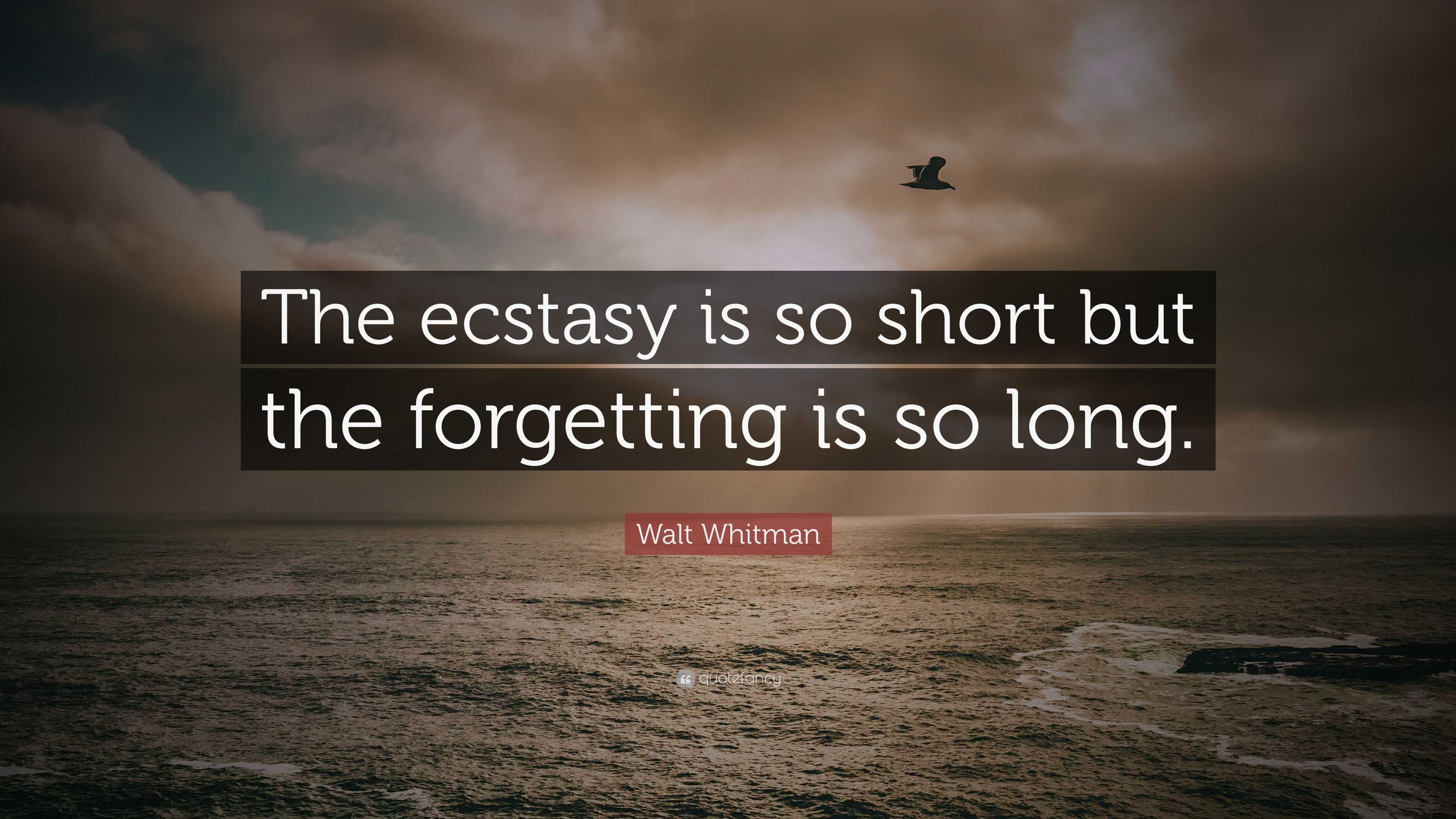 Walt Whitman Quote: “The ecstasy is so short but the forgetting is so ...