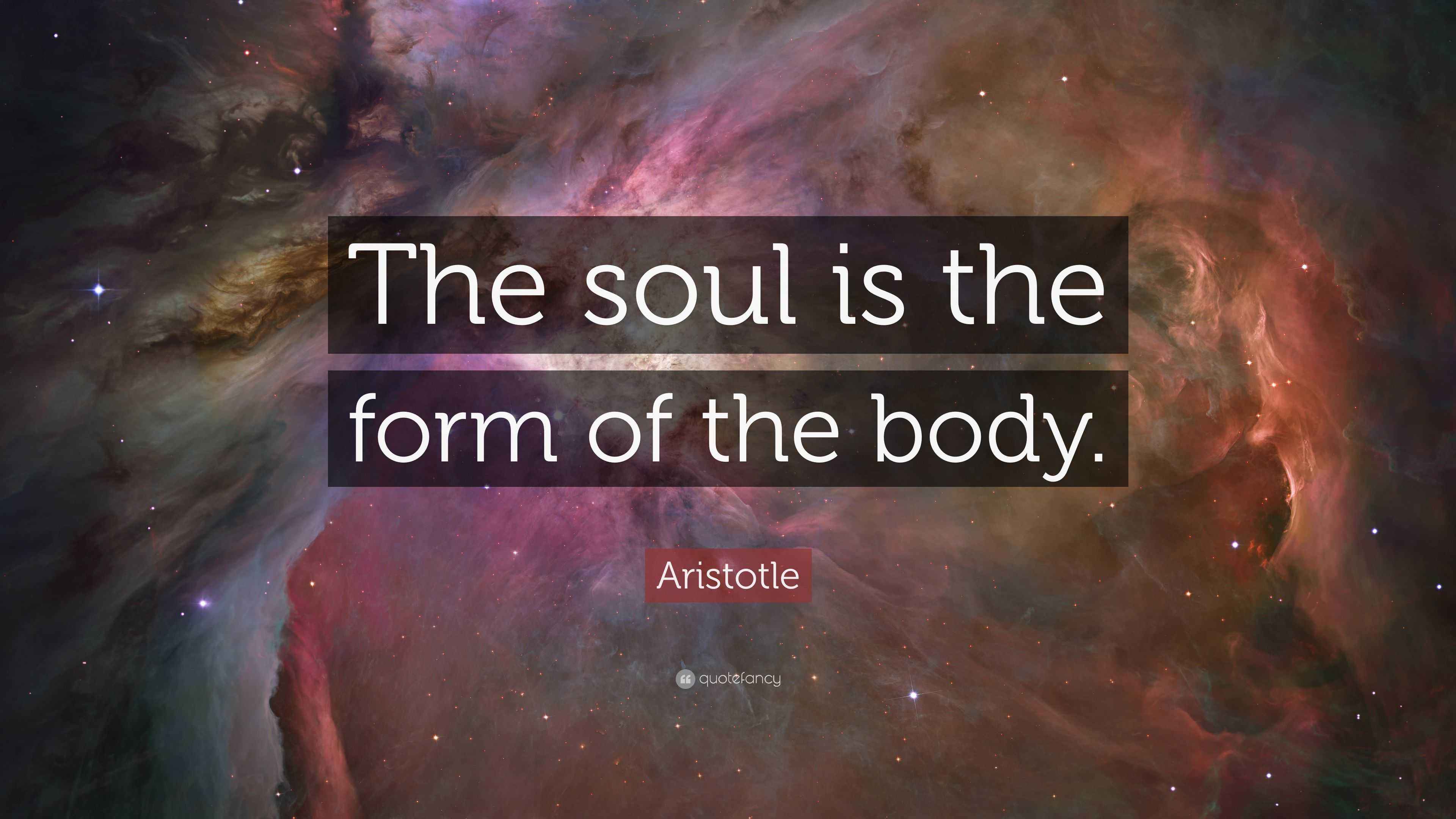Aristotle Quote: “The soul is the form of the body.”