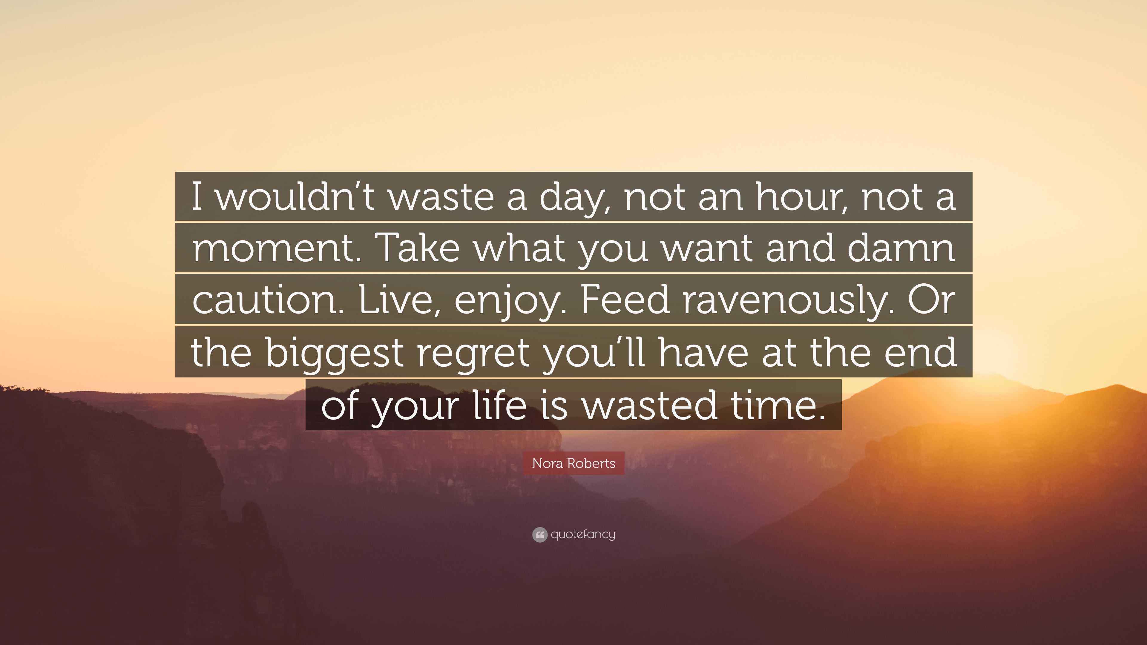 Nora Roberts Quote: “I wouldn’t waste a day, not an hour, not a moment ...