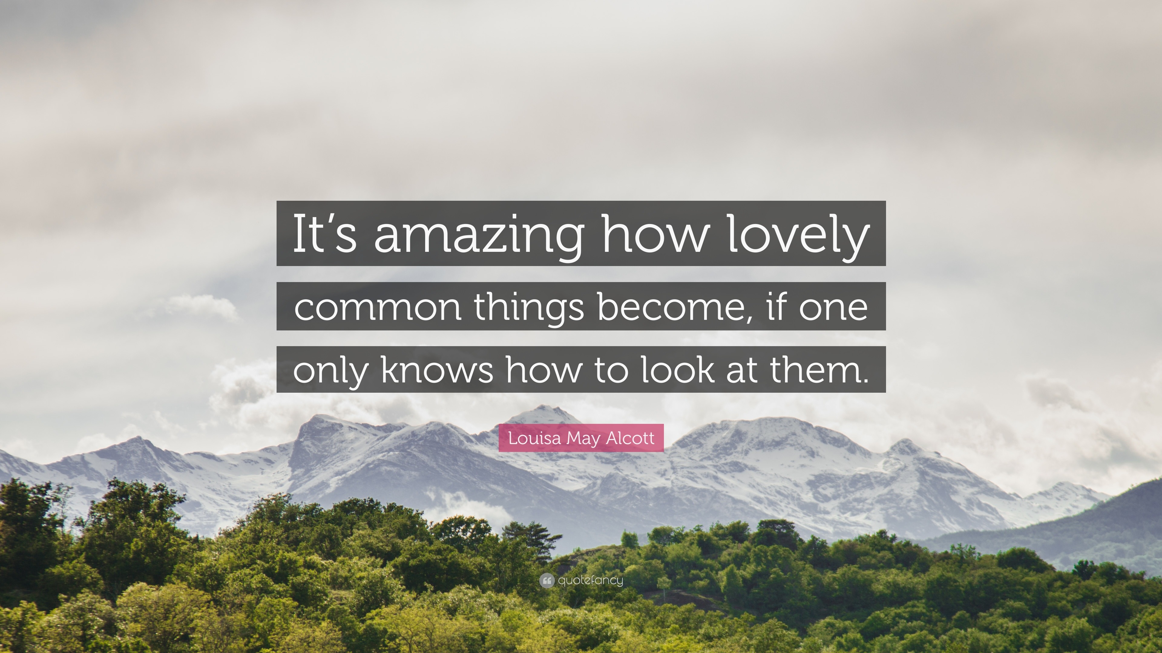 Louisa May Alcott Quote: “It’s amazing how lovely common things become ...