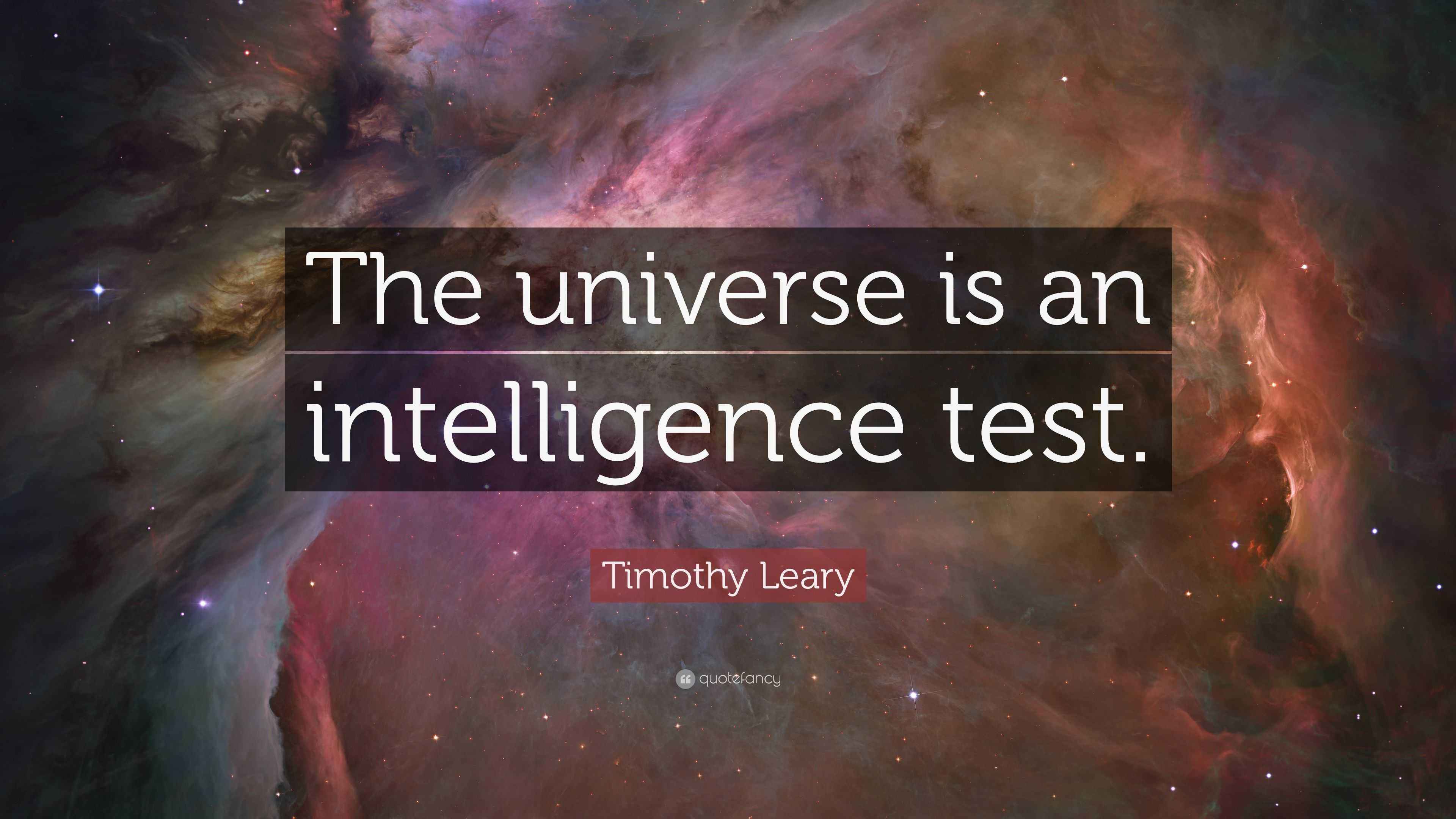 Timothy Leary Quote: “The universe is an intelligence test.”