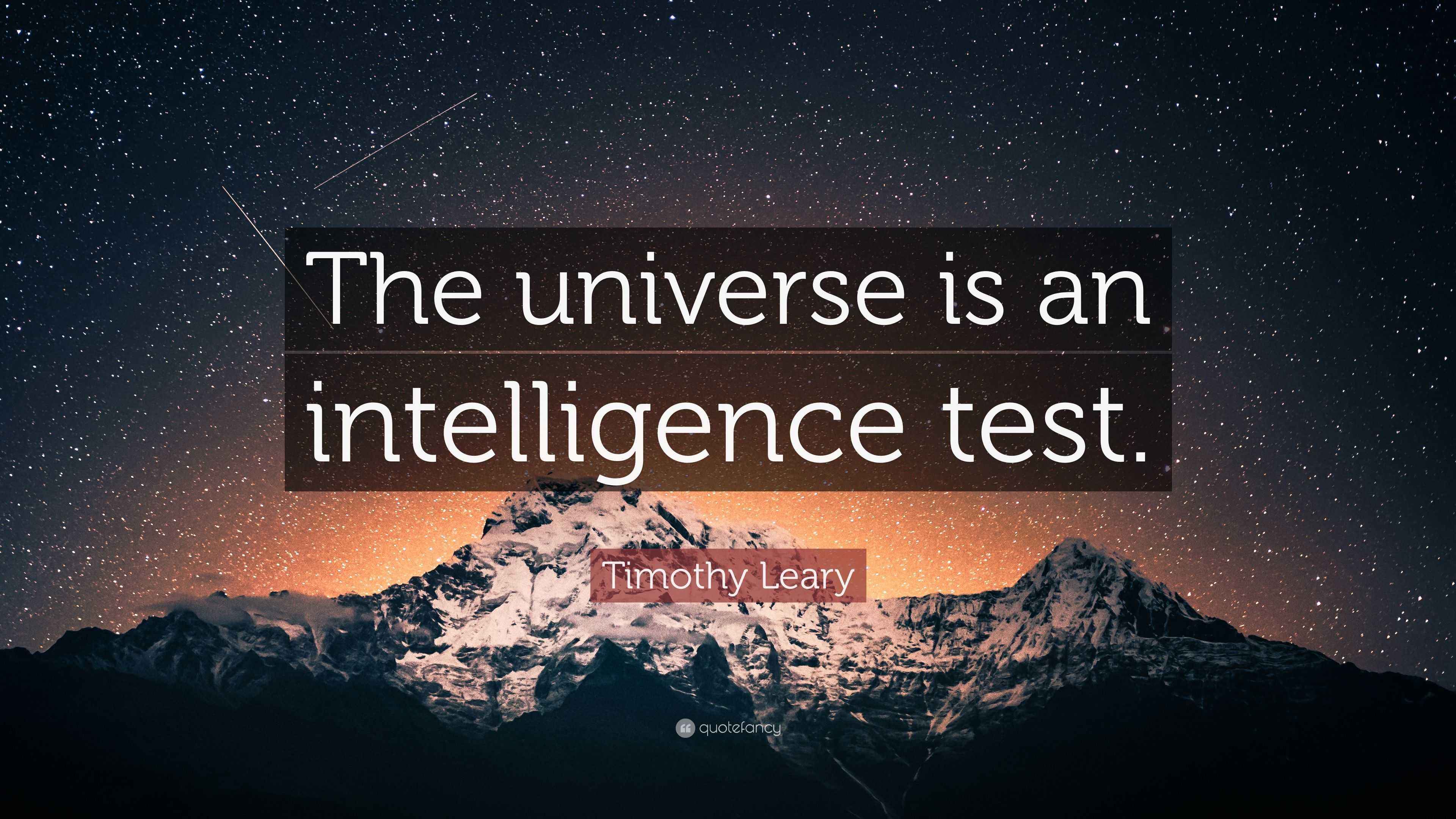 Timothy Leary Quote: “The universe is an intelligence test.”