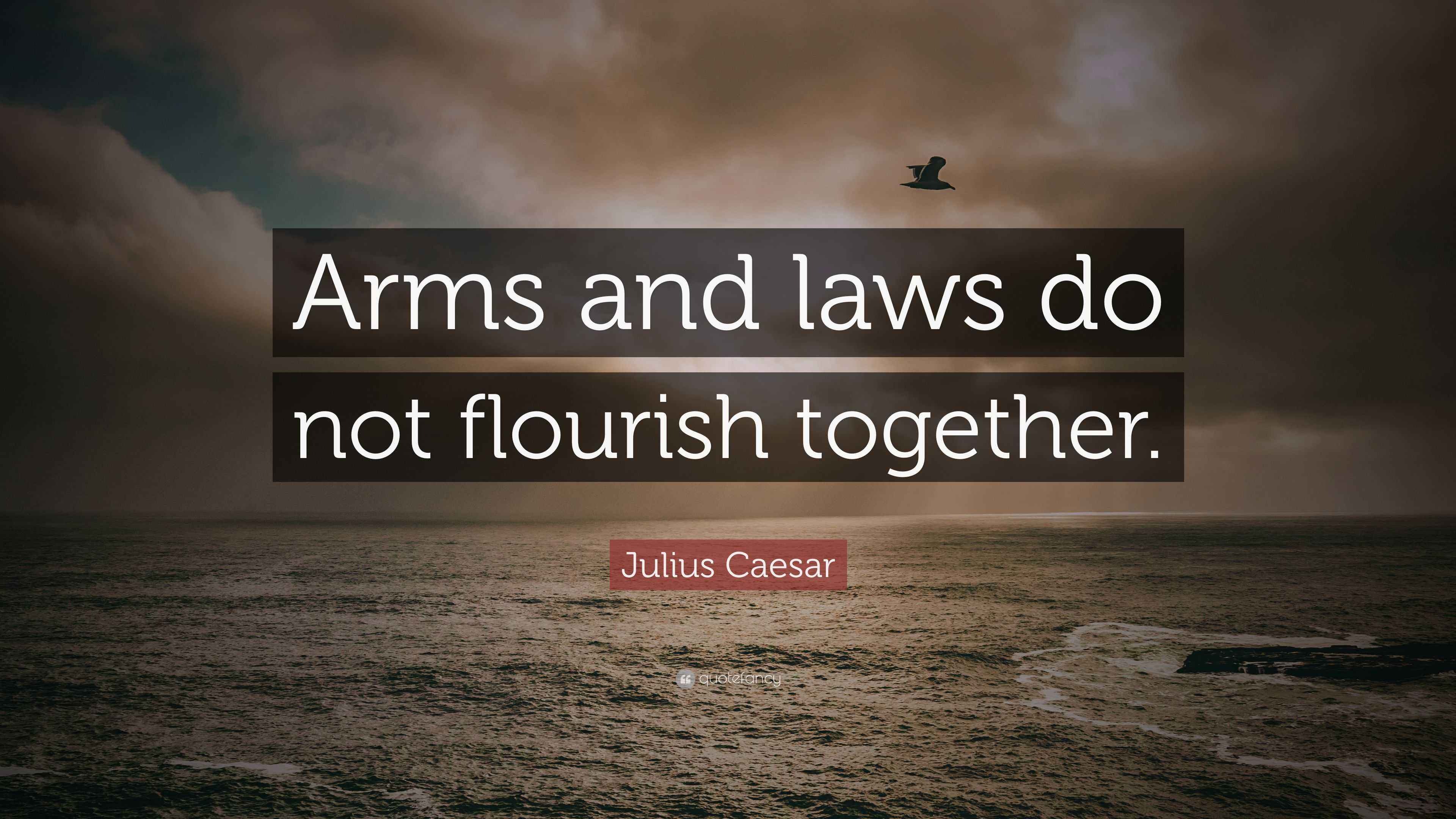 Julius Caesar Quote: “Arms and laws do not flourish together.”