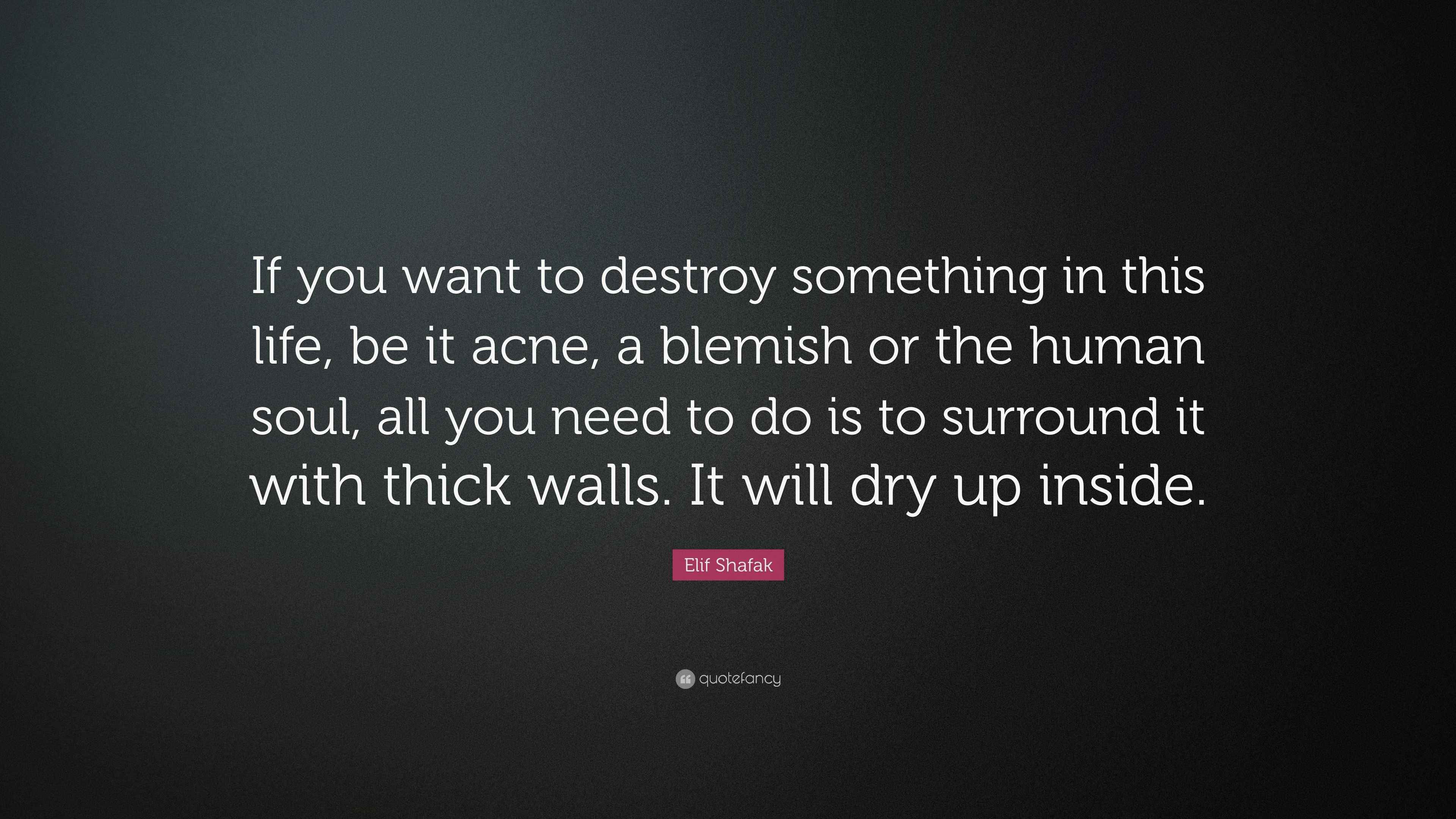 Elif Shafak Quote: “If you want to destroy something in this life, be ...