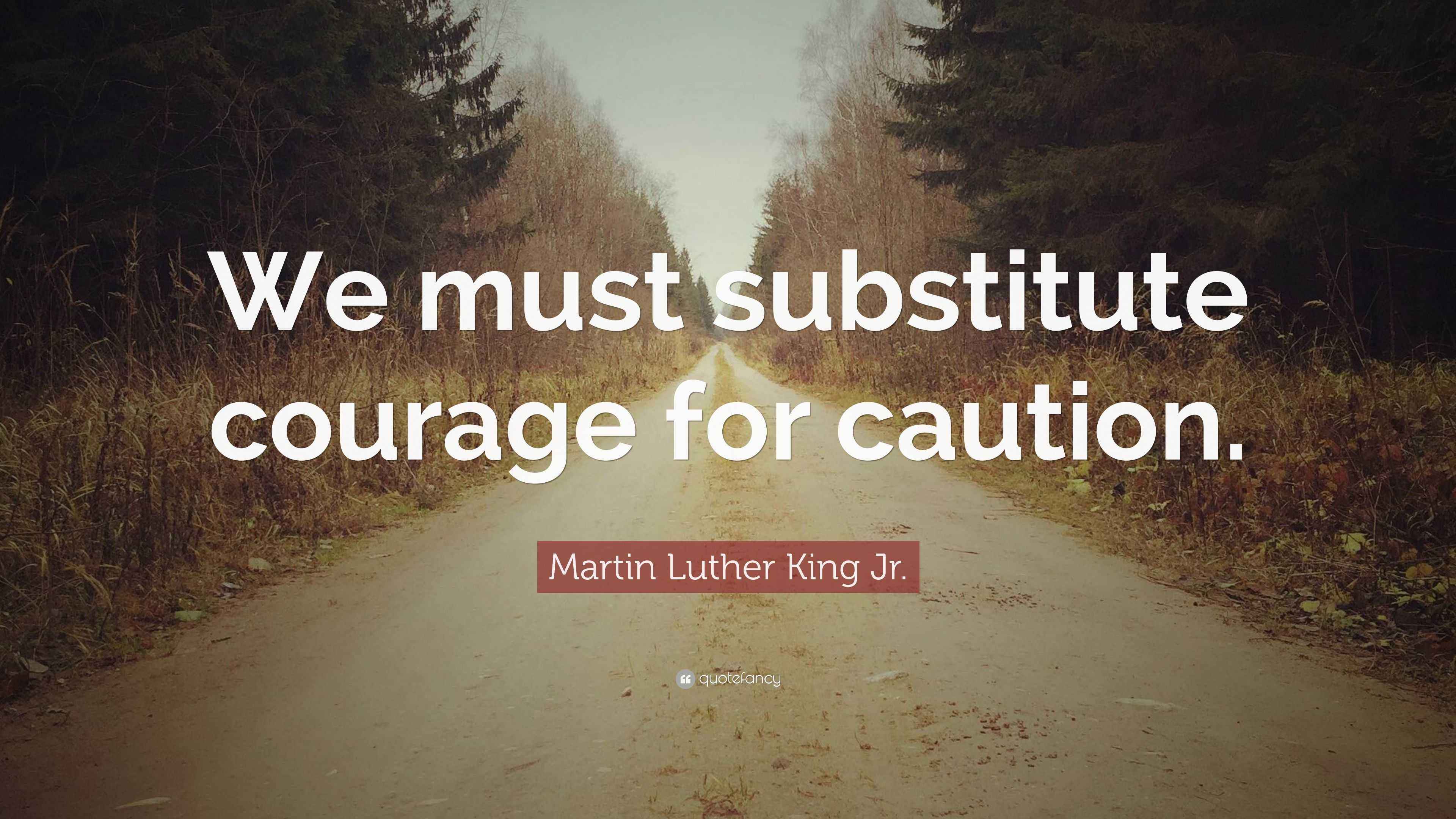 Martin Luther King Jr. Quote: “We must substitute courage for caution.”