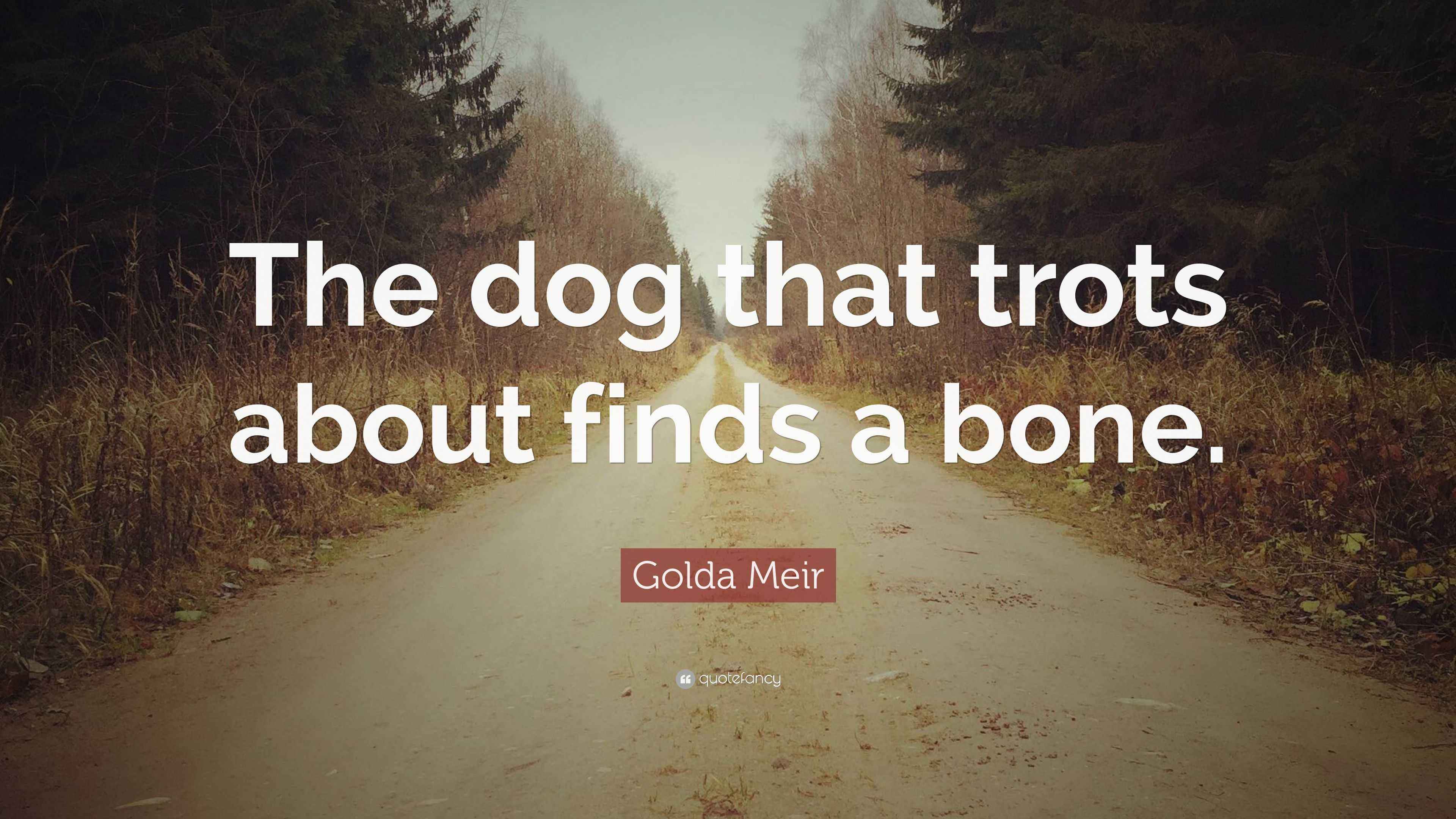Golda Meir Quote: “The dog that trots about finds a bone.”