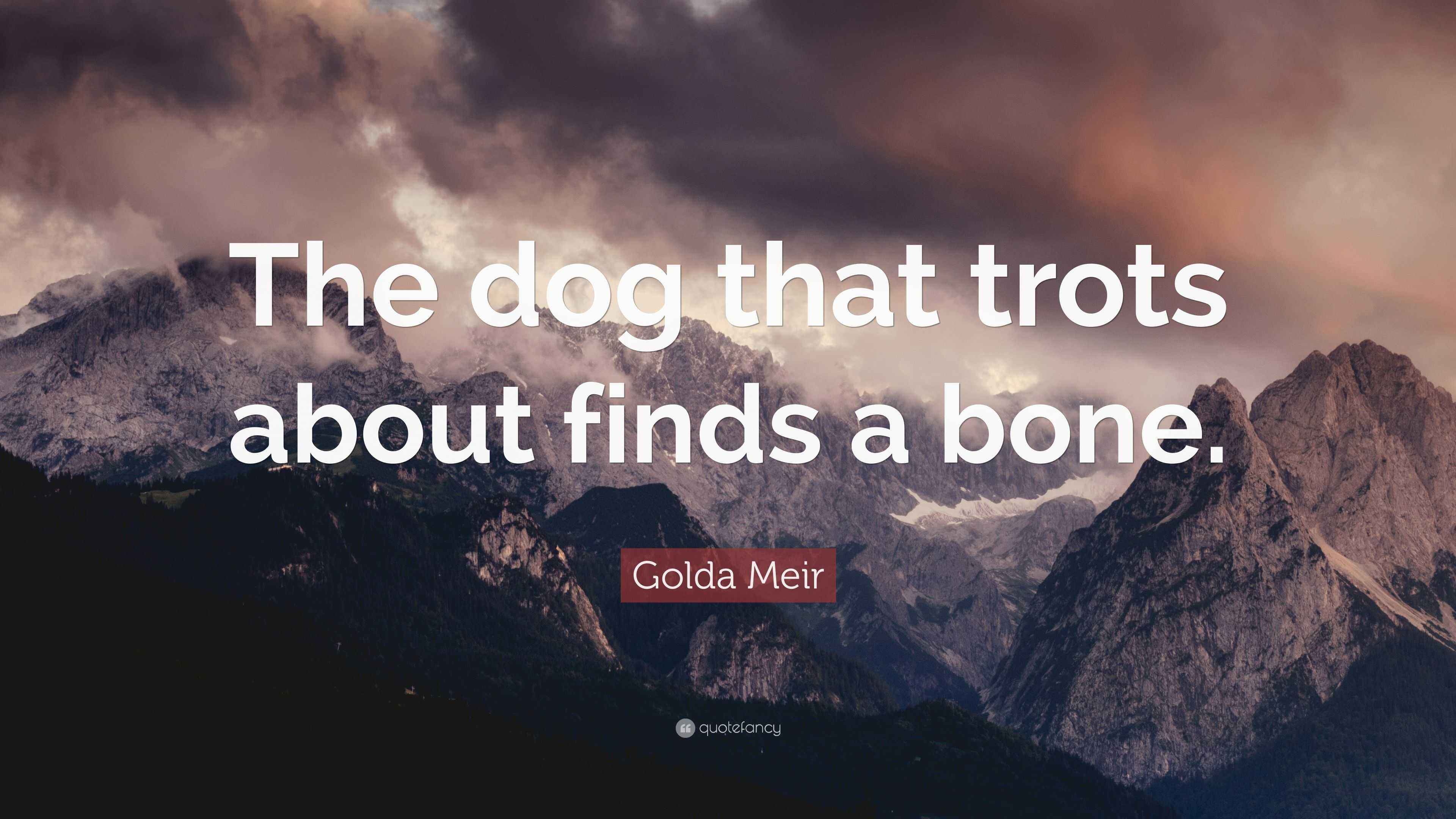 Golda Meir Quote: “The dog that trots about finds a bone.”