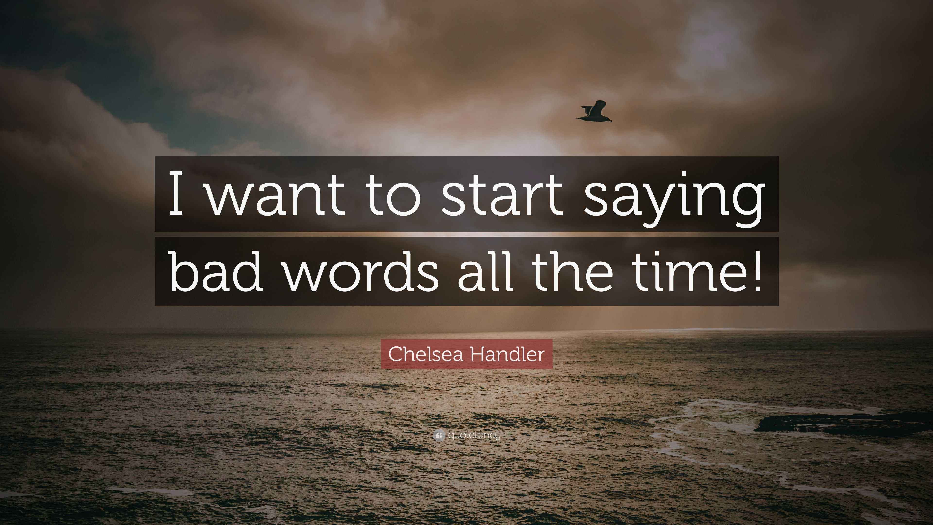 Chelsea Handler Quote: “I want to start saying bad words all the time!”