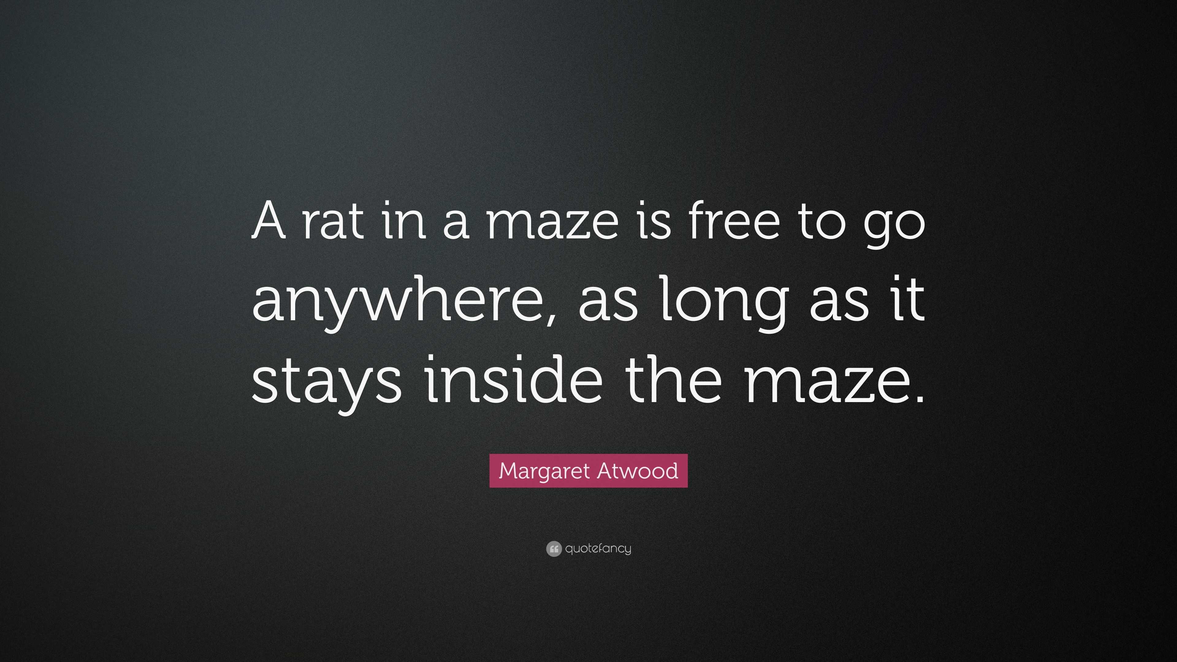 Margaret Atwood Quote: “A rat in a maze is free to go anywhere, as long ...