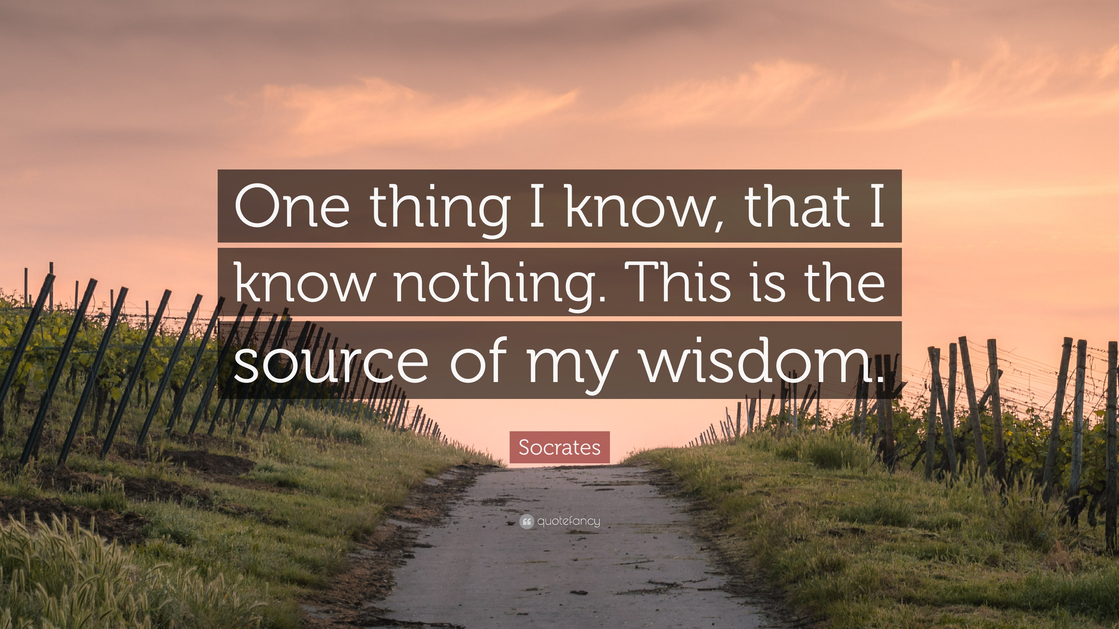 Socrates Quote: “One thing I know, that I know nothing. This is the ...