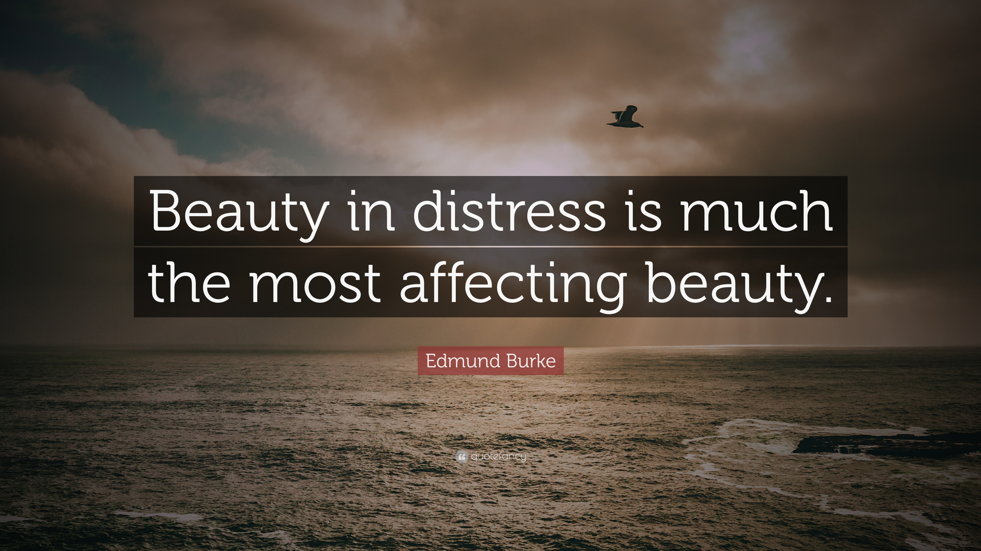 Edmund Burke Quote: “Beauty in distress is much the most affecting beauty.”
