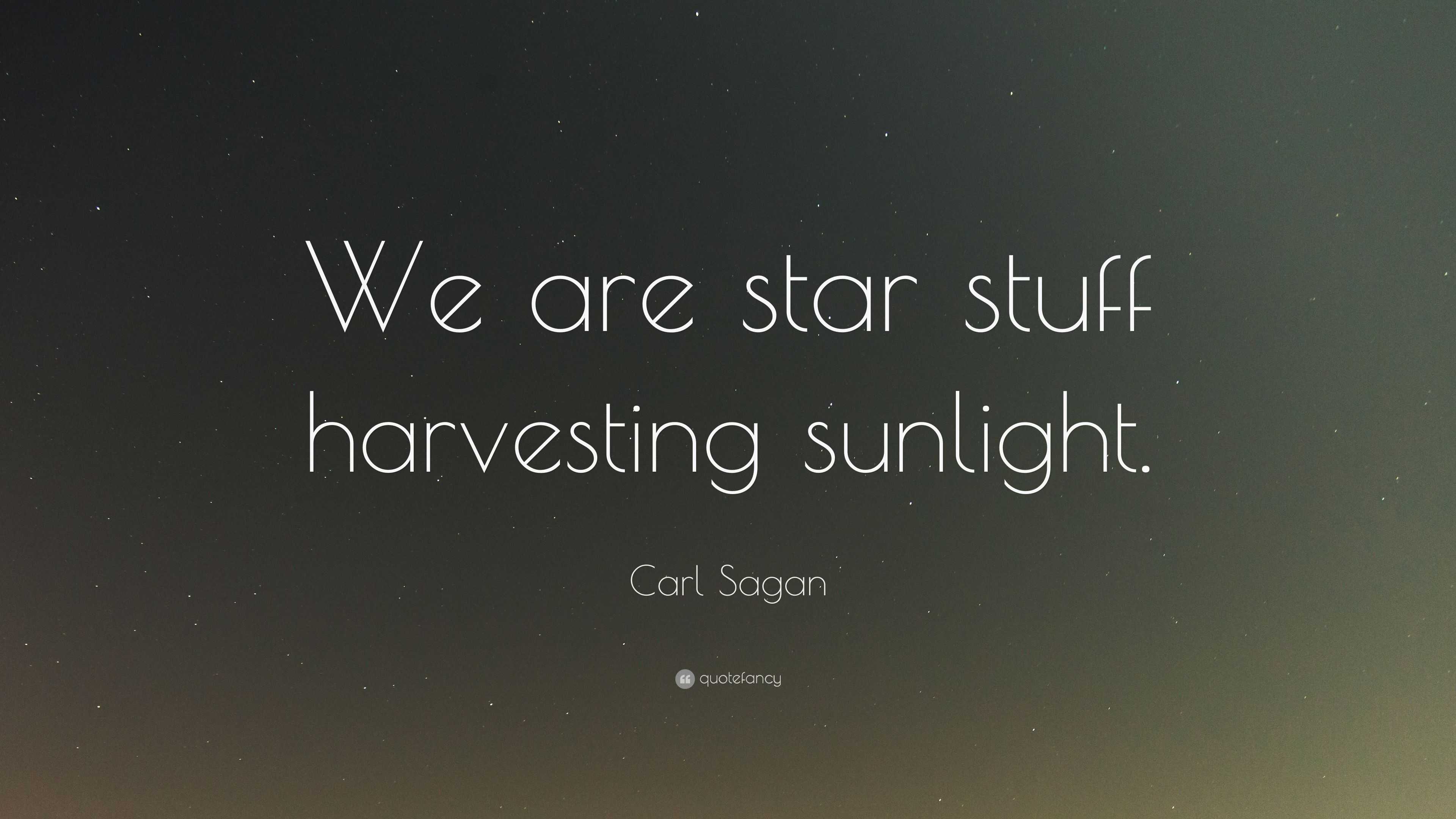 Carl Sagan Quote: “We are star stuff harvesting sunlight.”