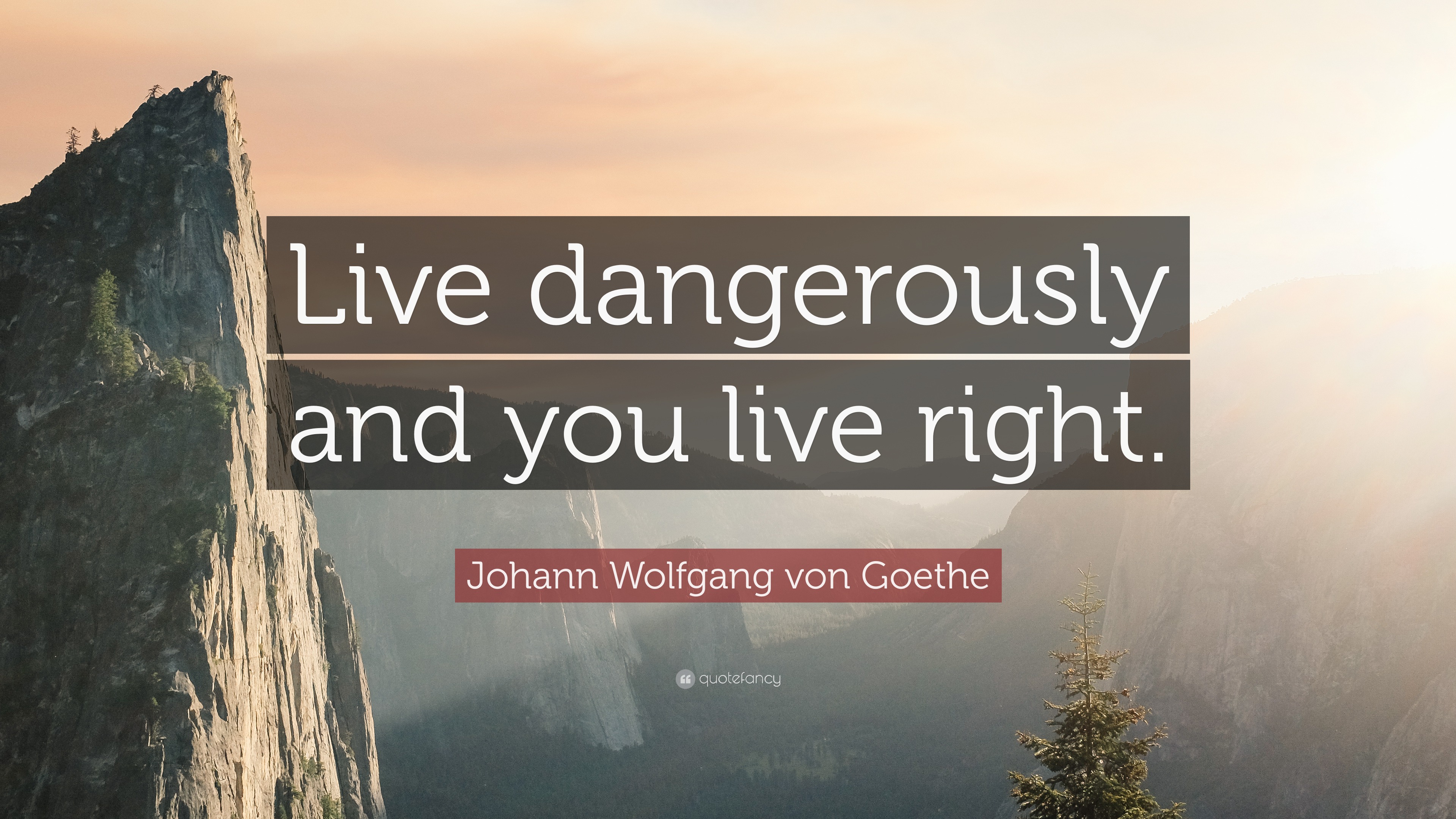 Johann Wolfgang von Goethe Quote: “Live dangerously and you live right.”