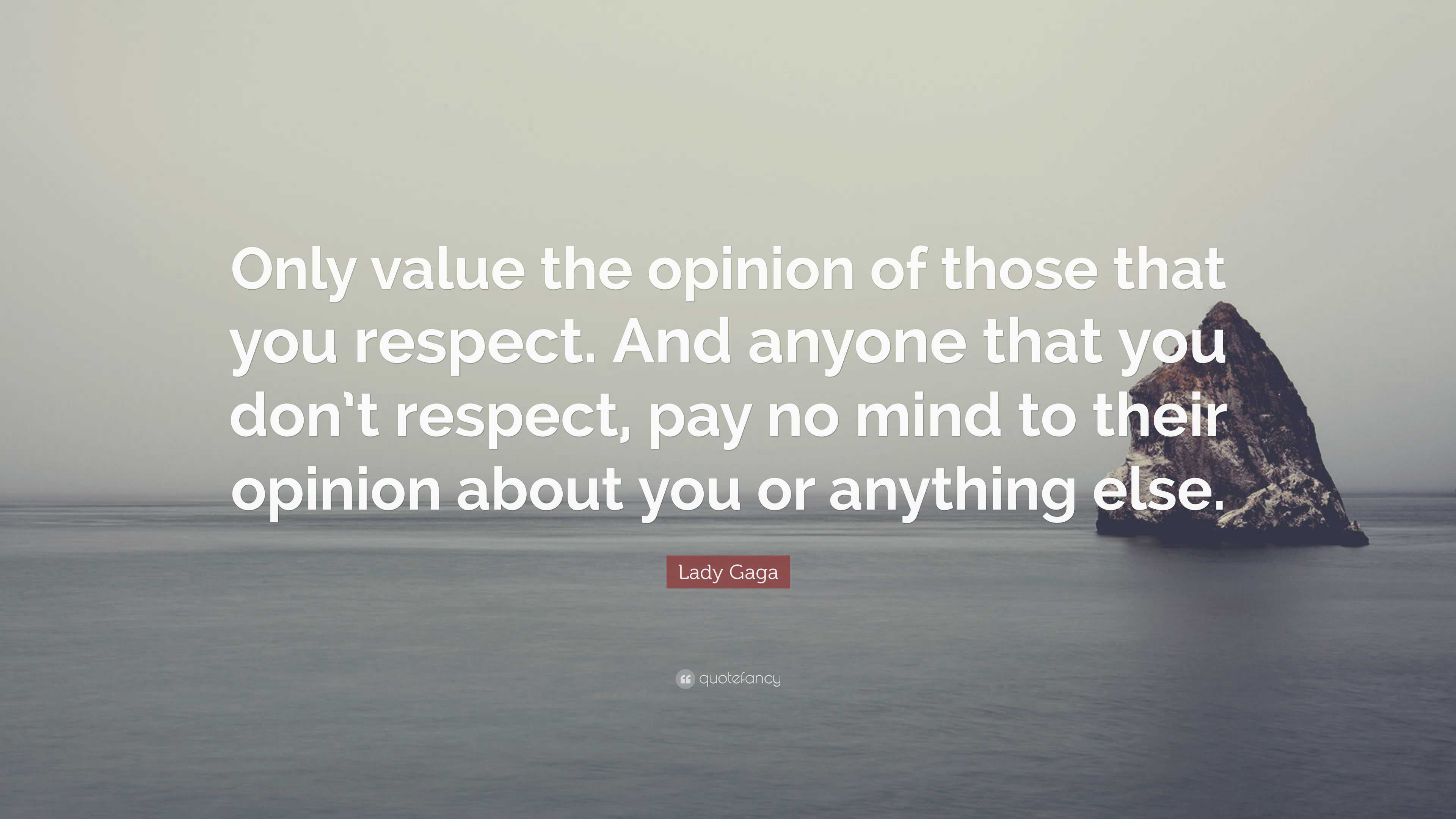 Lady Gaga Quote: “Only value the opinion of those that you respect. And ...