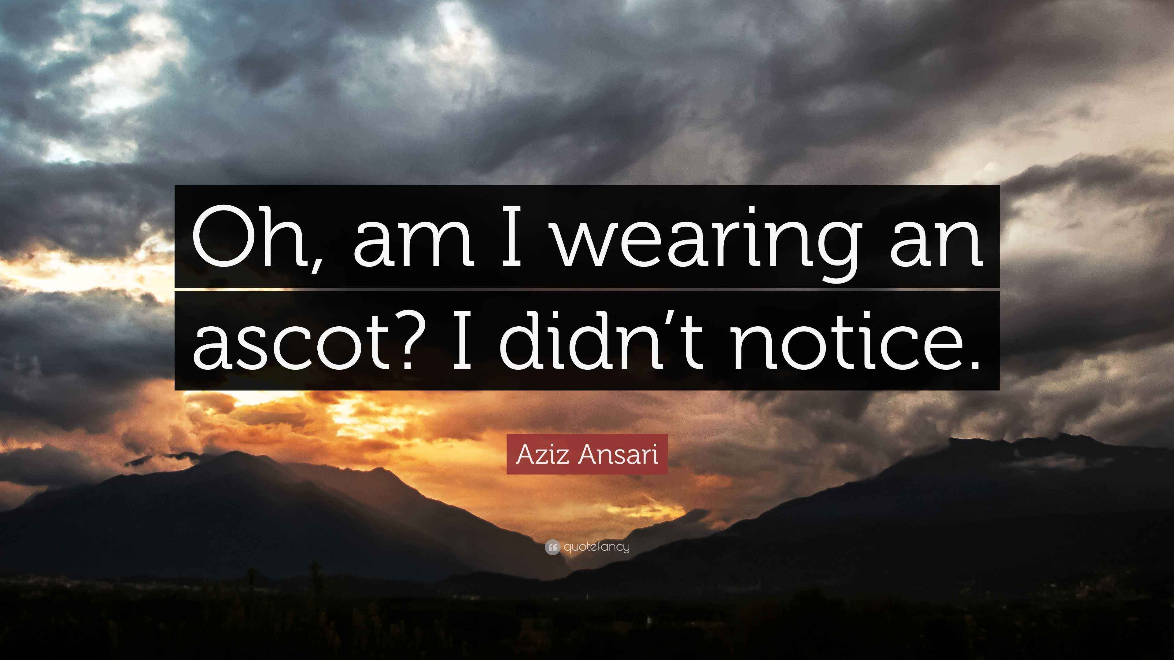 Aziz Ansari Quote: “Oh, am I wearing an ascot? I didn’t notice.”