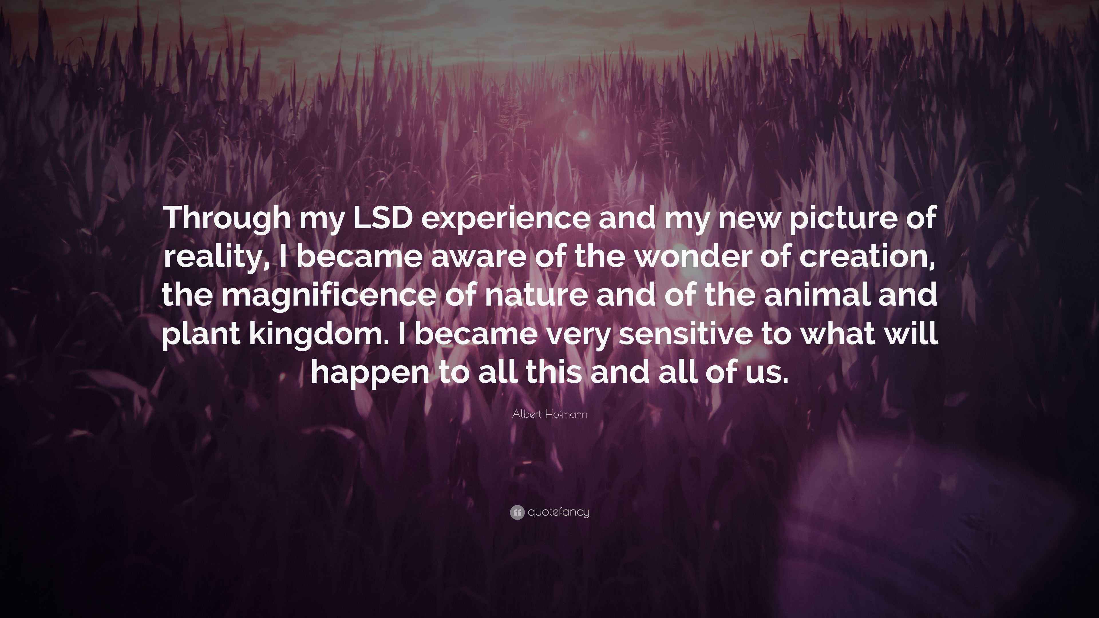 Albert Hofmann Quote: “Through my LSD experience and my new picture of ...