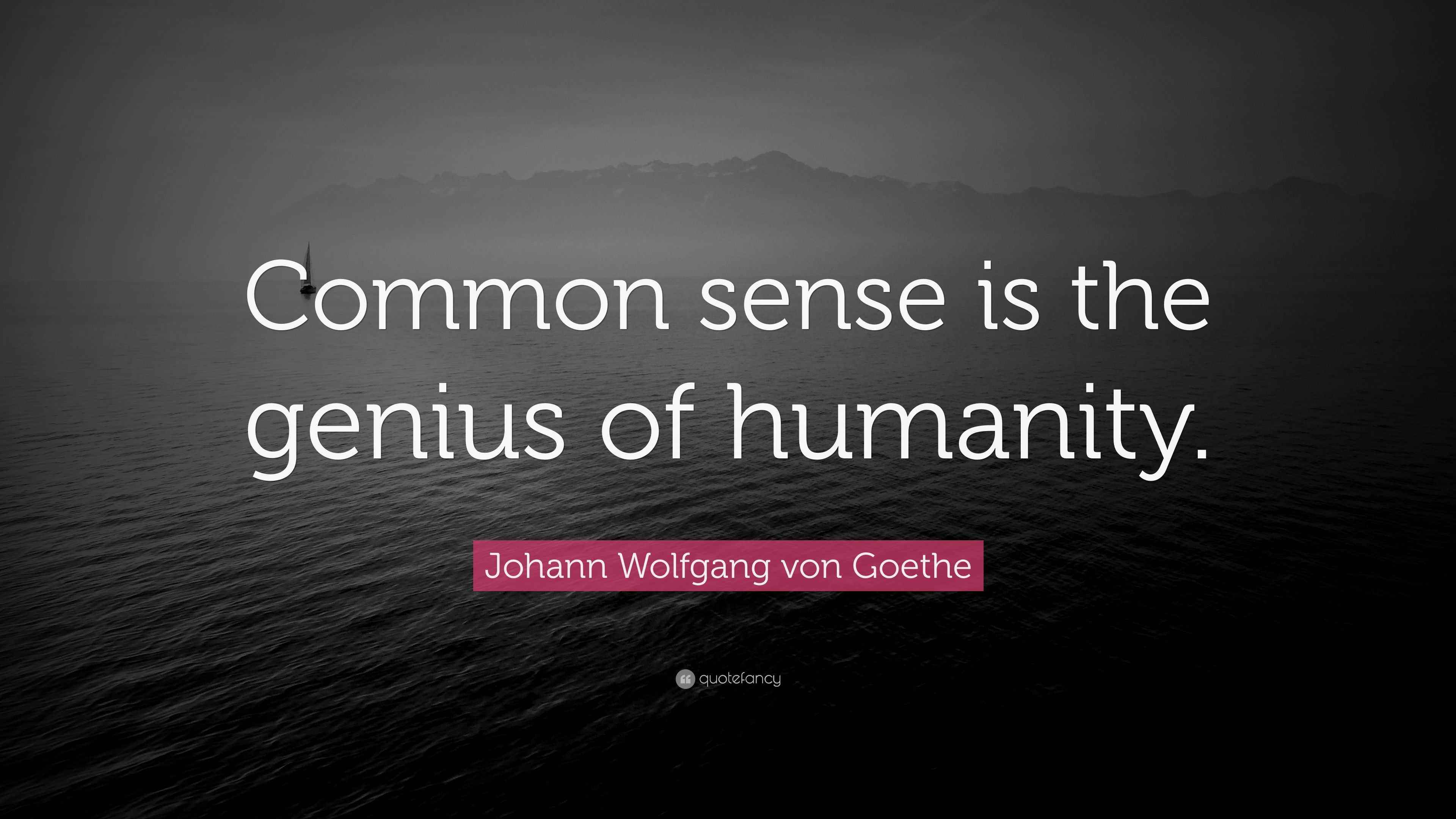 Johann Wolfgang von Goethe Quote: “Common sense is the genius of humanity.”