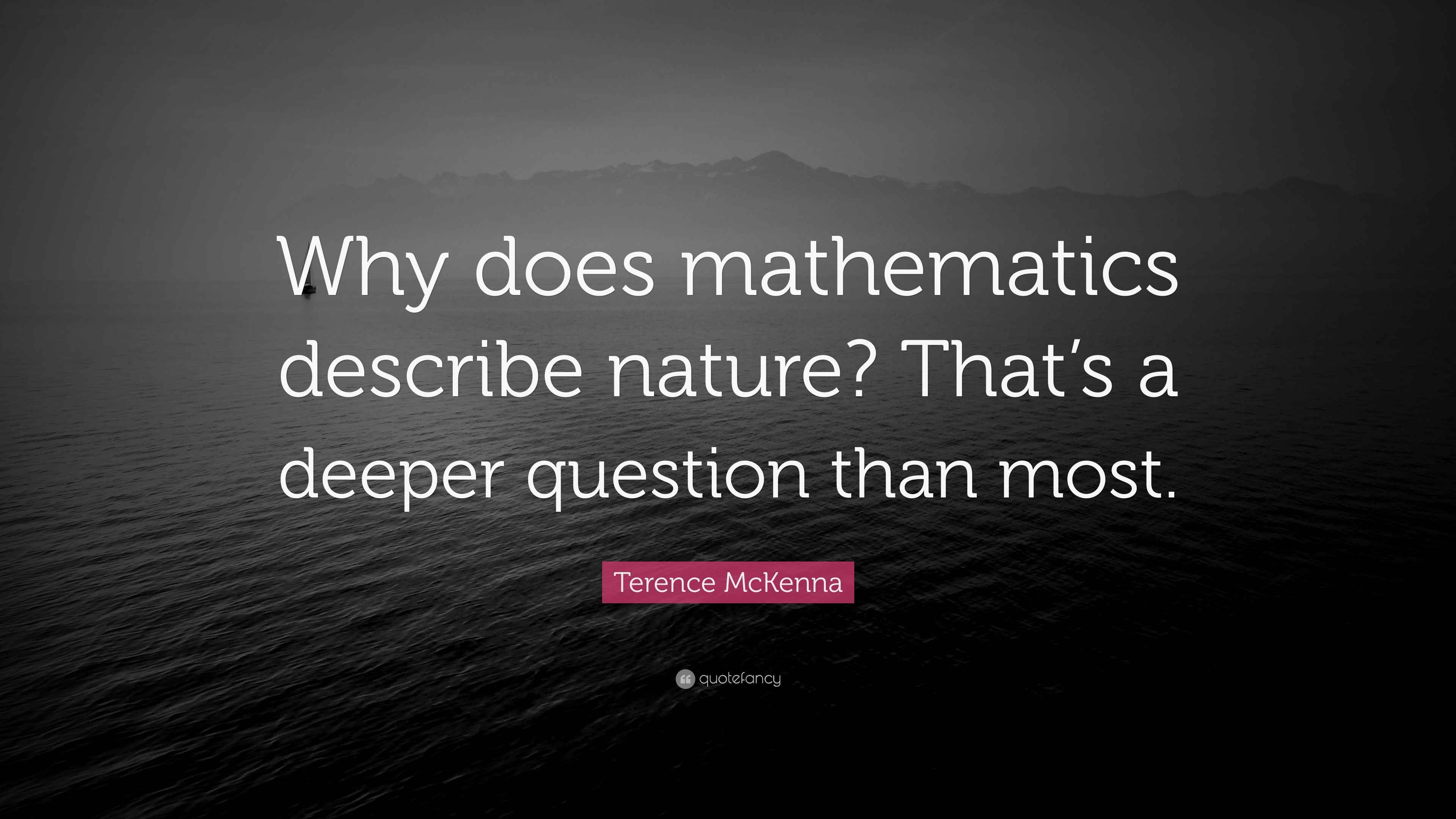 Terence McKenna Quote: “Why does mathematics describe nature. That’s a ...