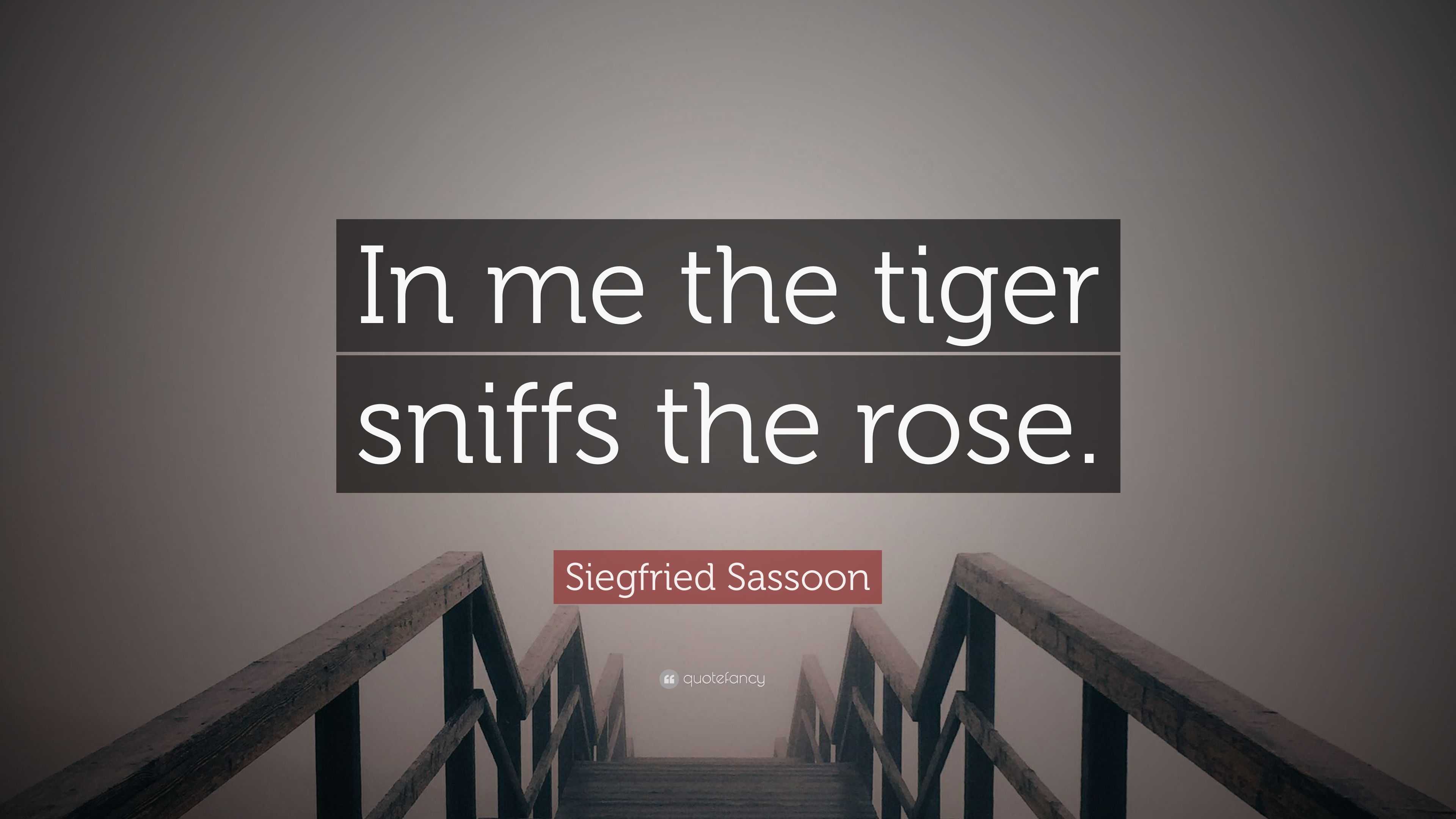 Siegfried Sassoon Quote: “In me the tiger sniffs the rose.”