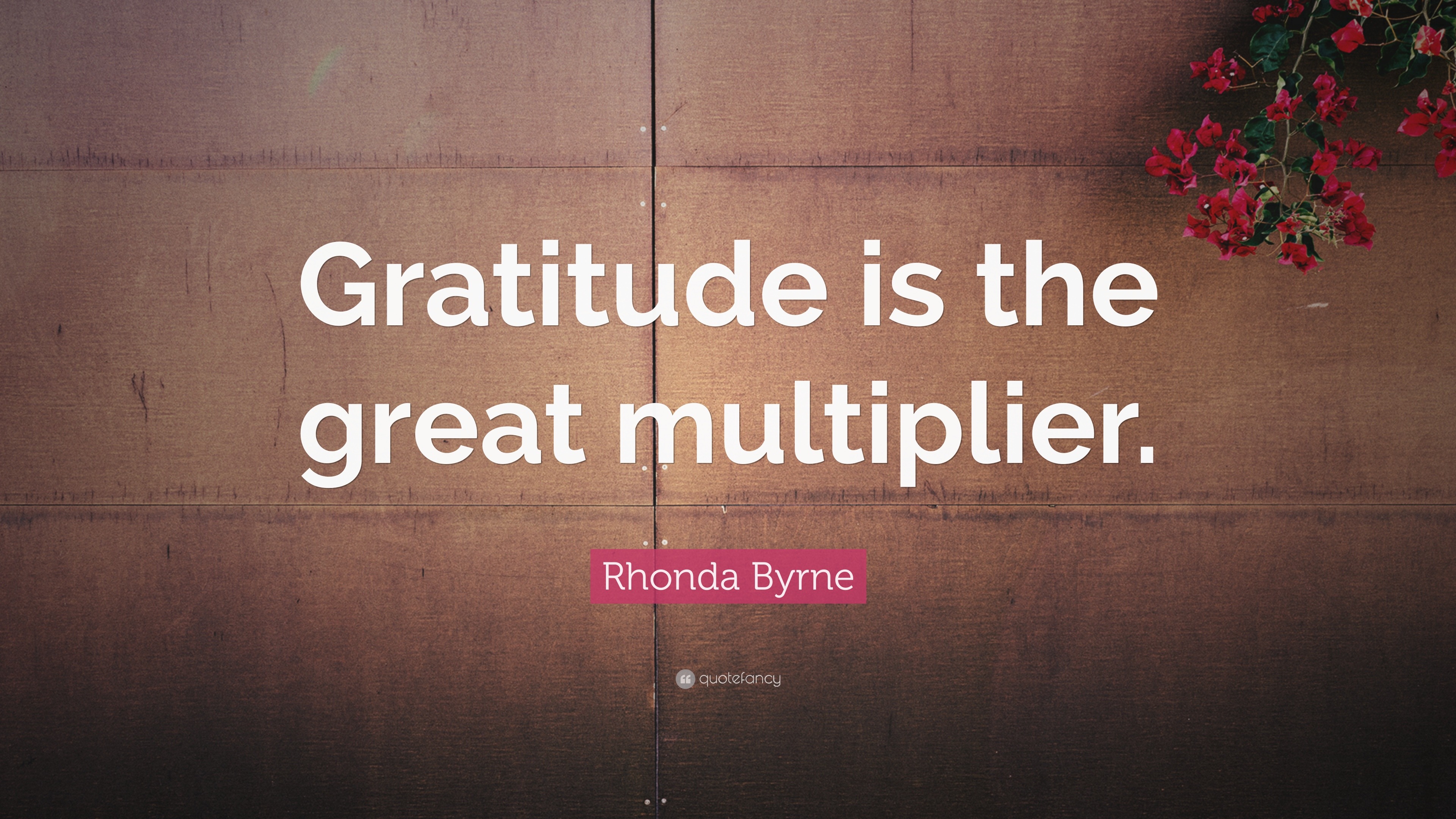 Rhonda Byrne Quote: “Gratitude is the great multiplier.”