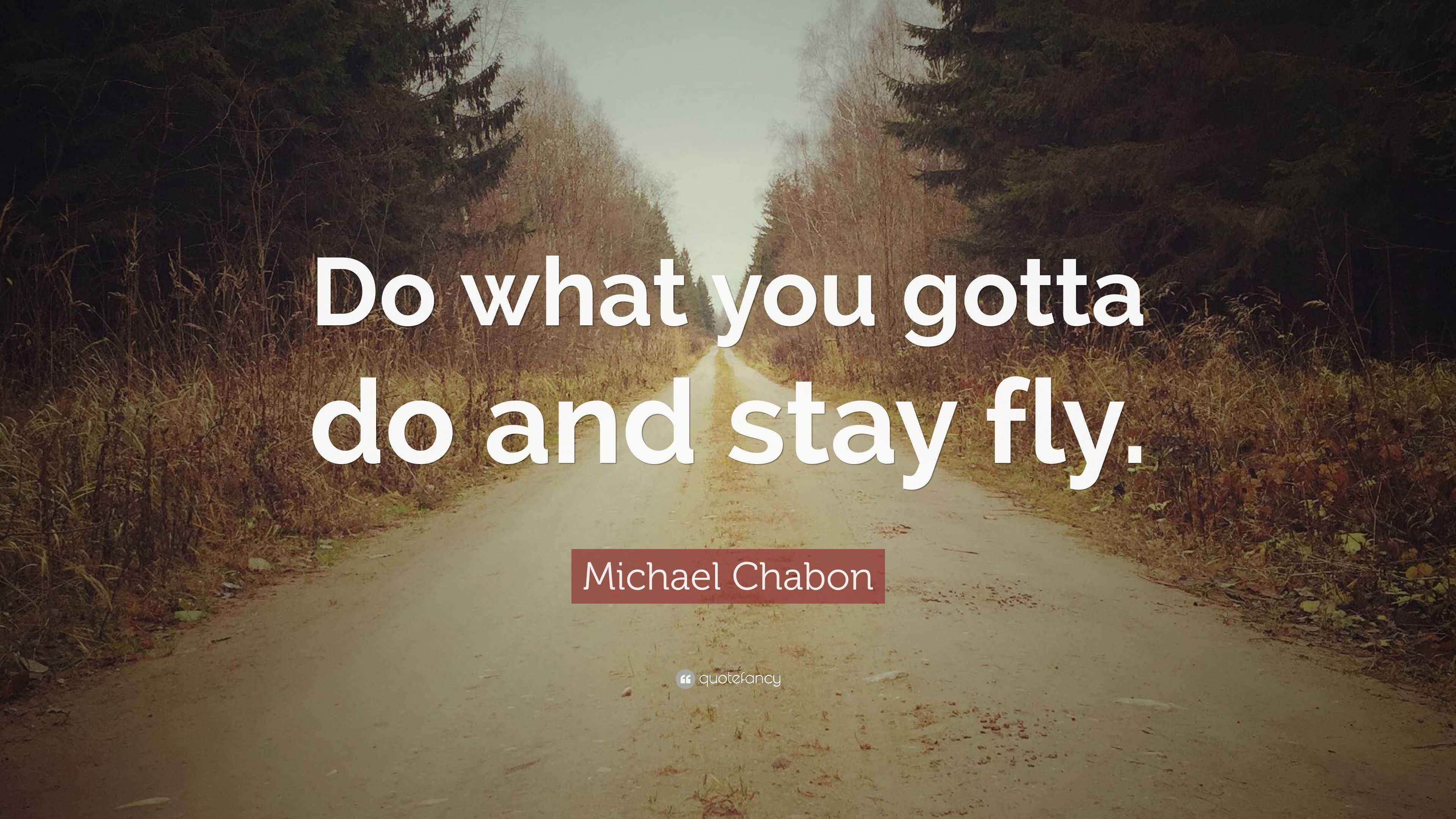Michael Chabon Quote: “Do what you gotta do and stay fly.”