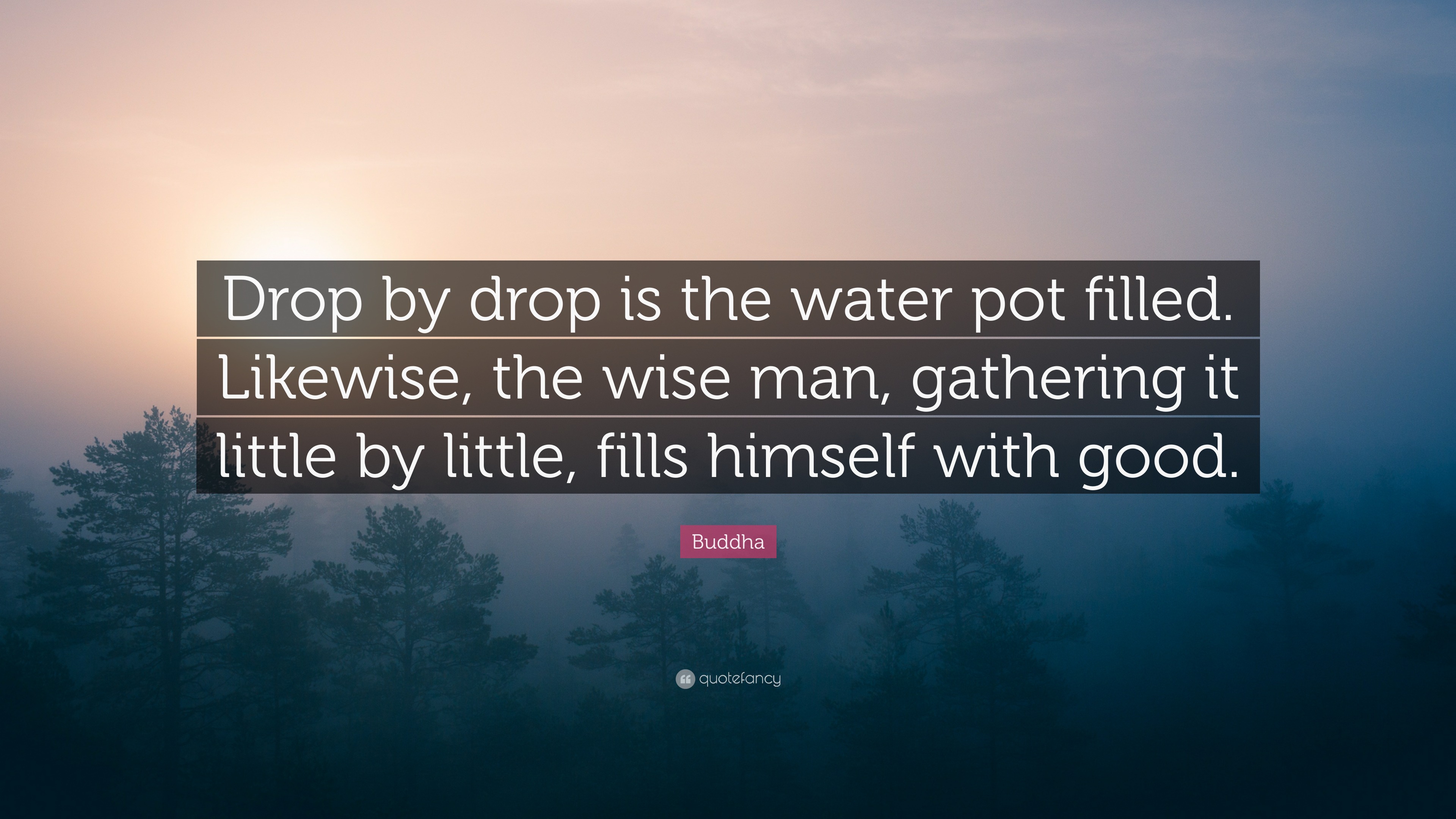 Buddha Quote: “Drop by drop is the water pot filled. Likewise, the wise ...