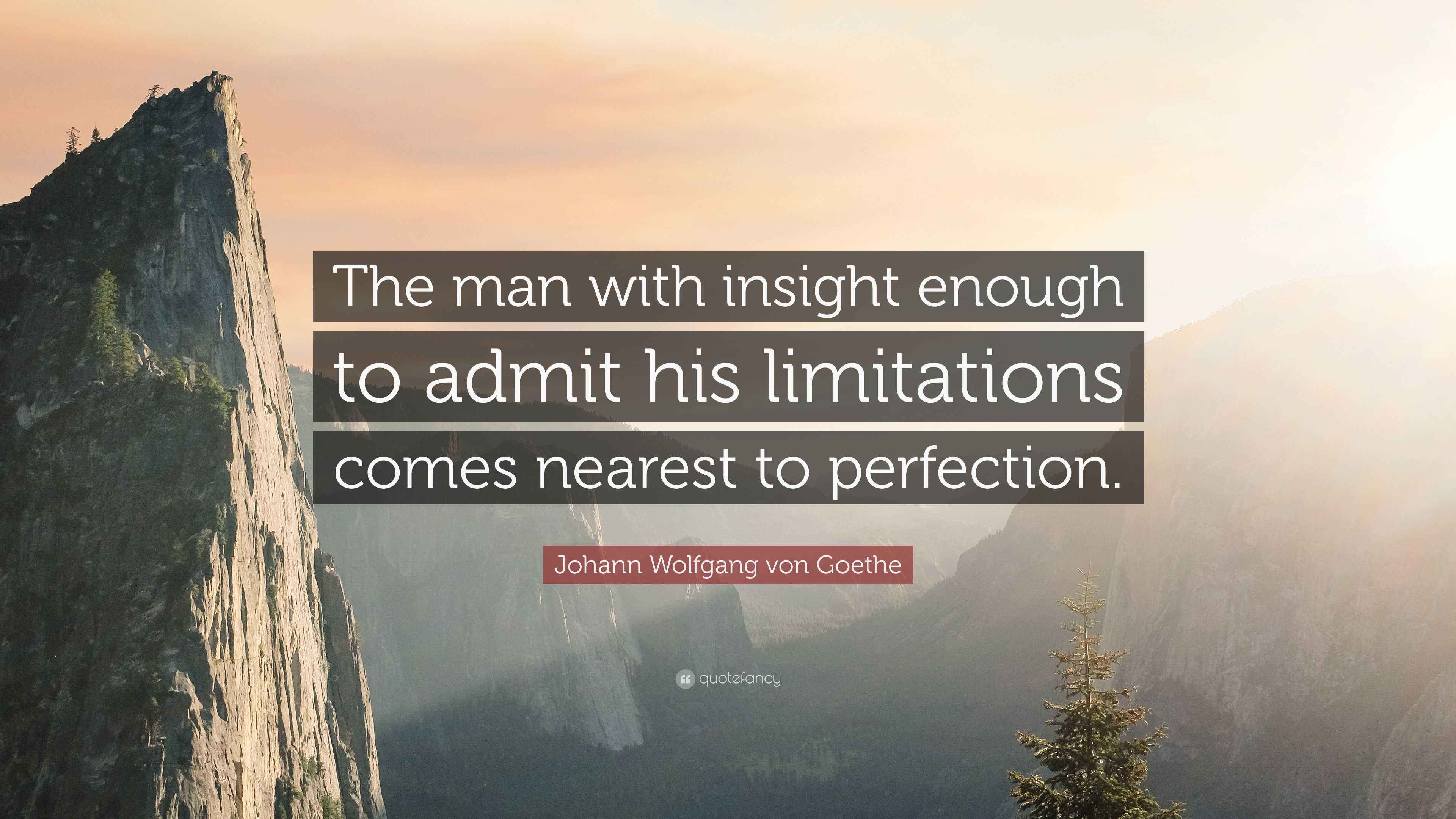 Johann Wolfgang von Goethe Quote: “The man with insight enough to admit ...