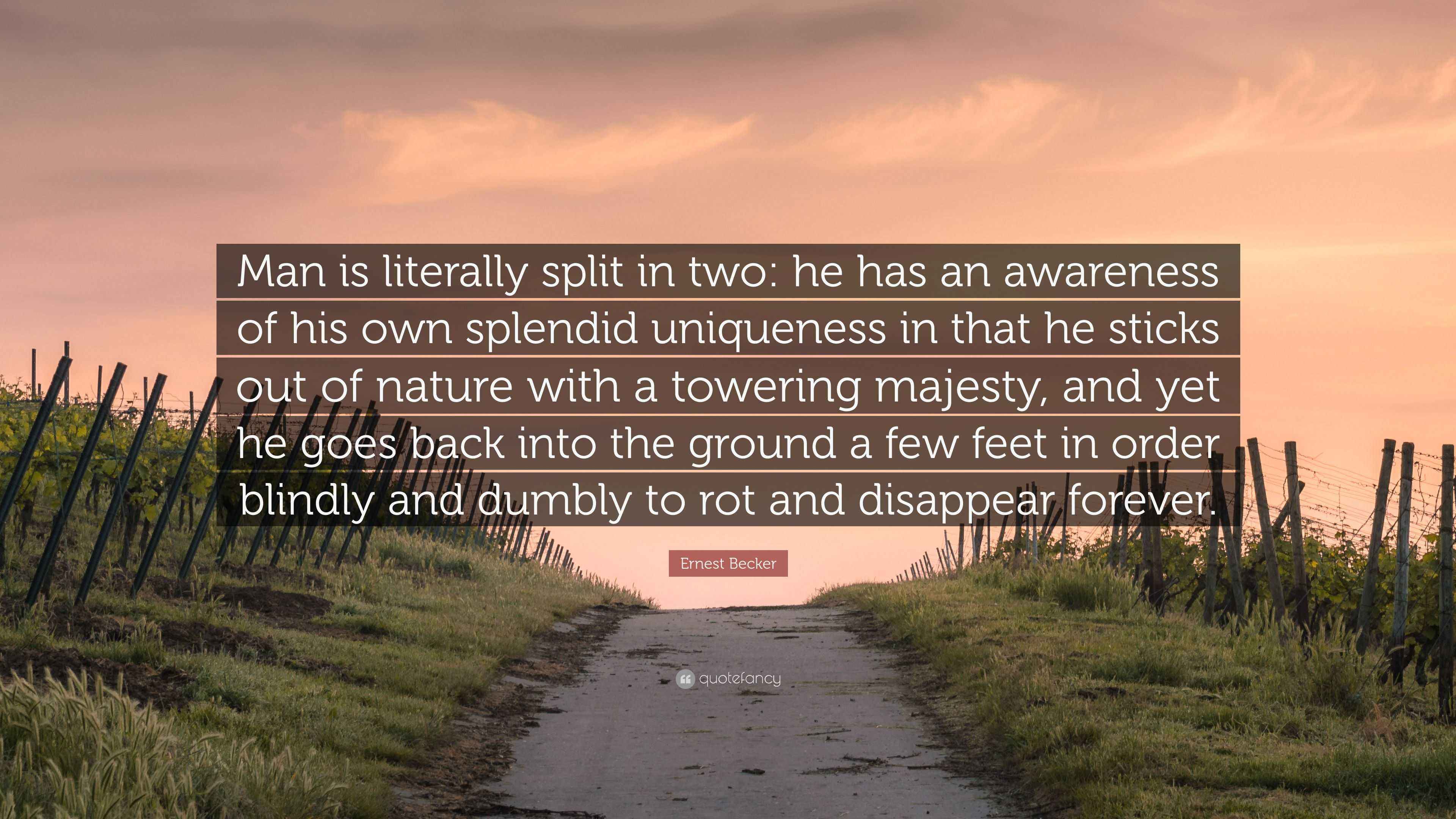 Ernest Becker Quote: “Man is literally split in two: he has an ...