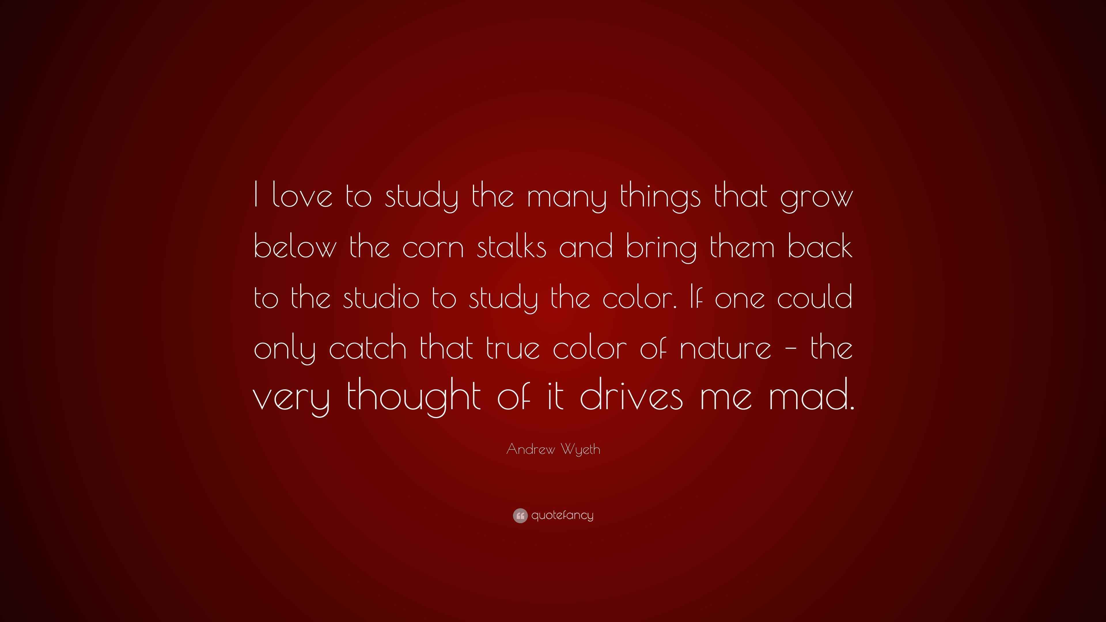 Andrew Wyeth Quote: “I love to study the many things that grow below ...