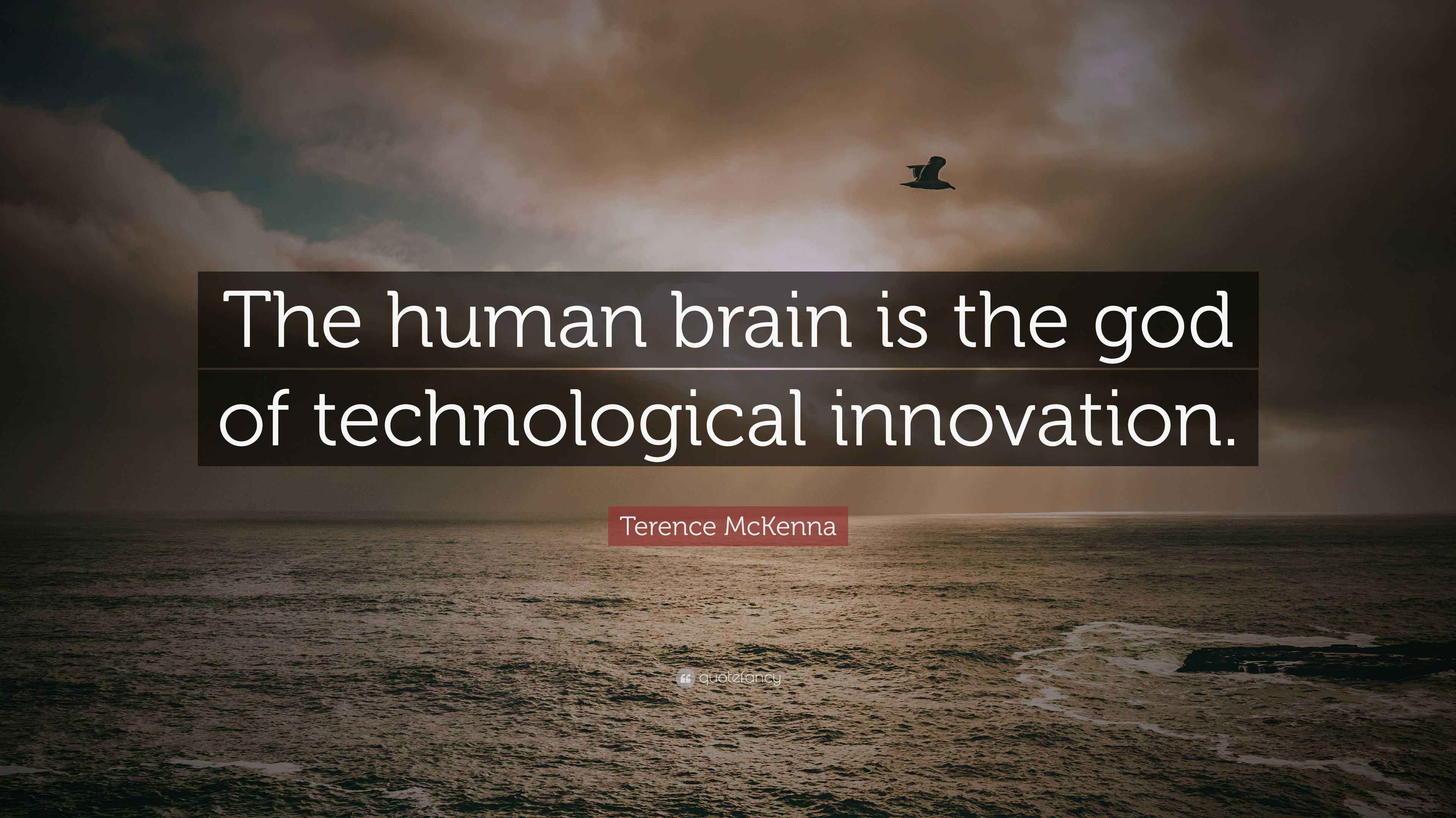 Terence McKenna Quote: “The human brain is the god of technological ...