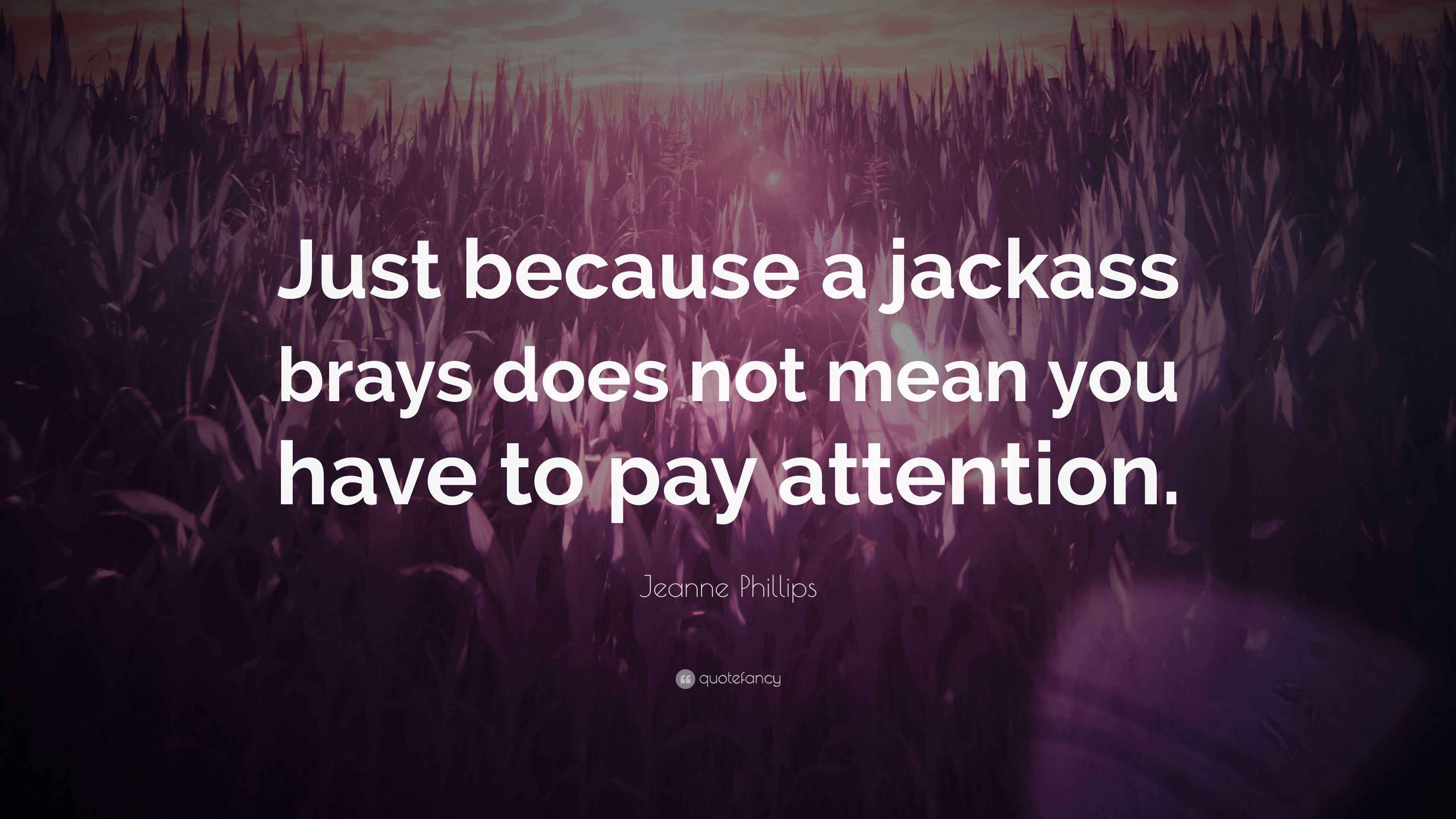 Jeanne Phillips Quote: “Just because a jackass brays does not mean you ...