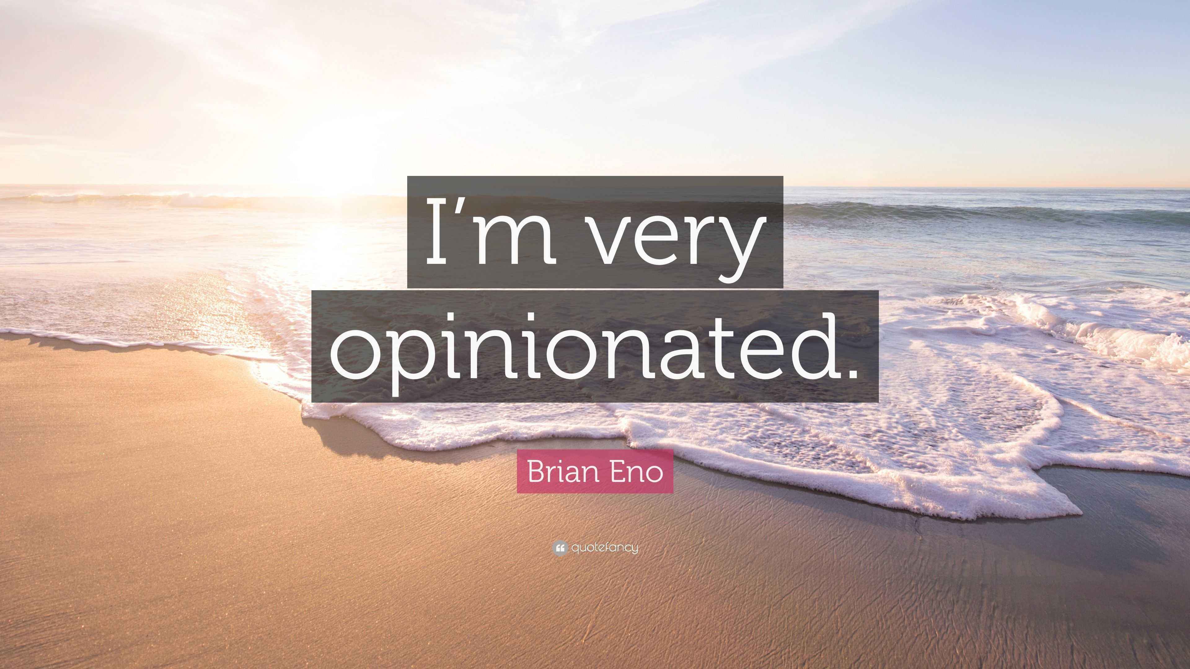 Brian Eno Quote: “I’m very opinionated.”