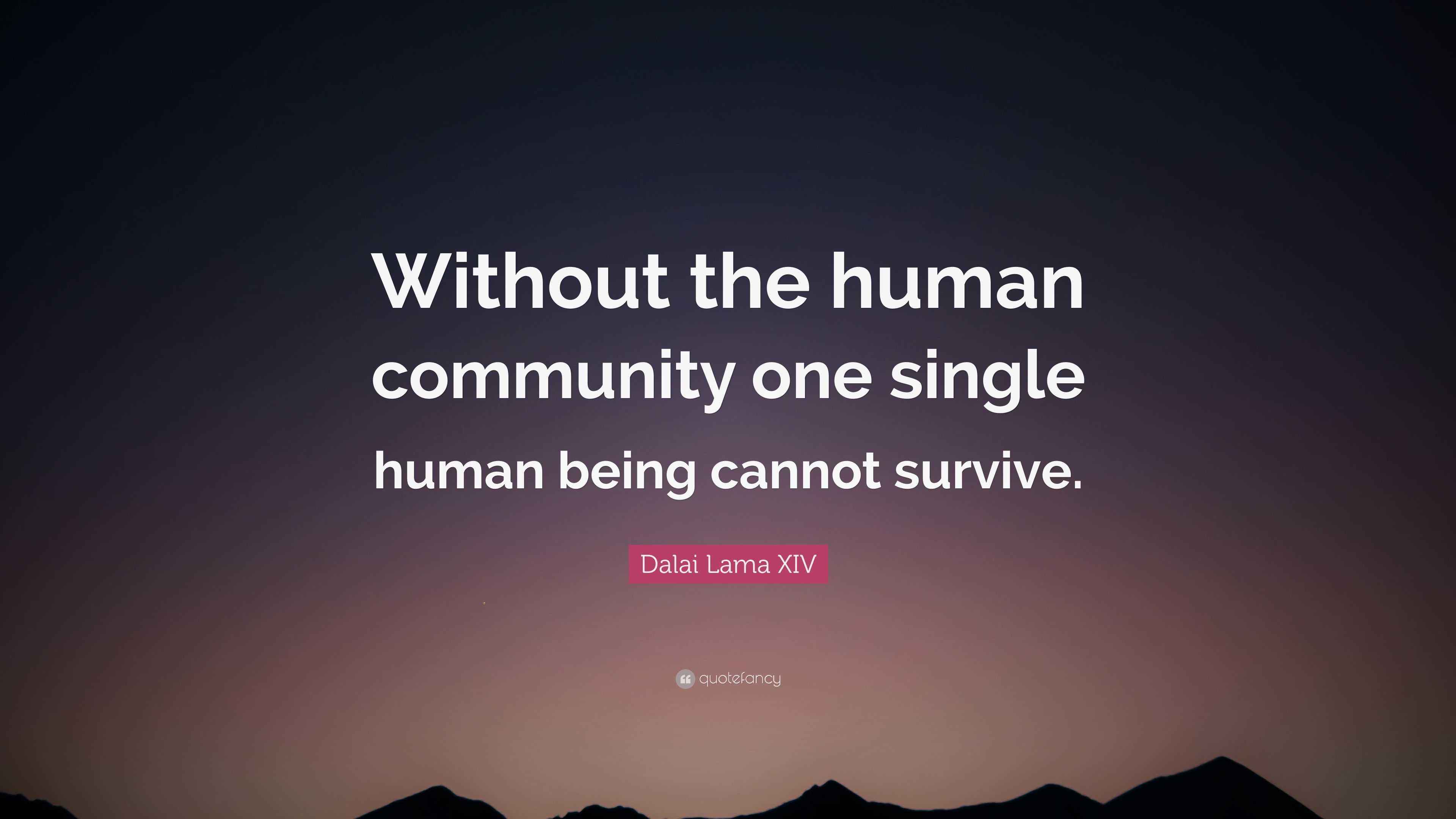 Dalai Lama XIV Quote: “Without the human community one single human ...