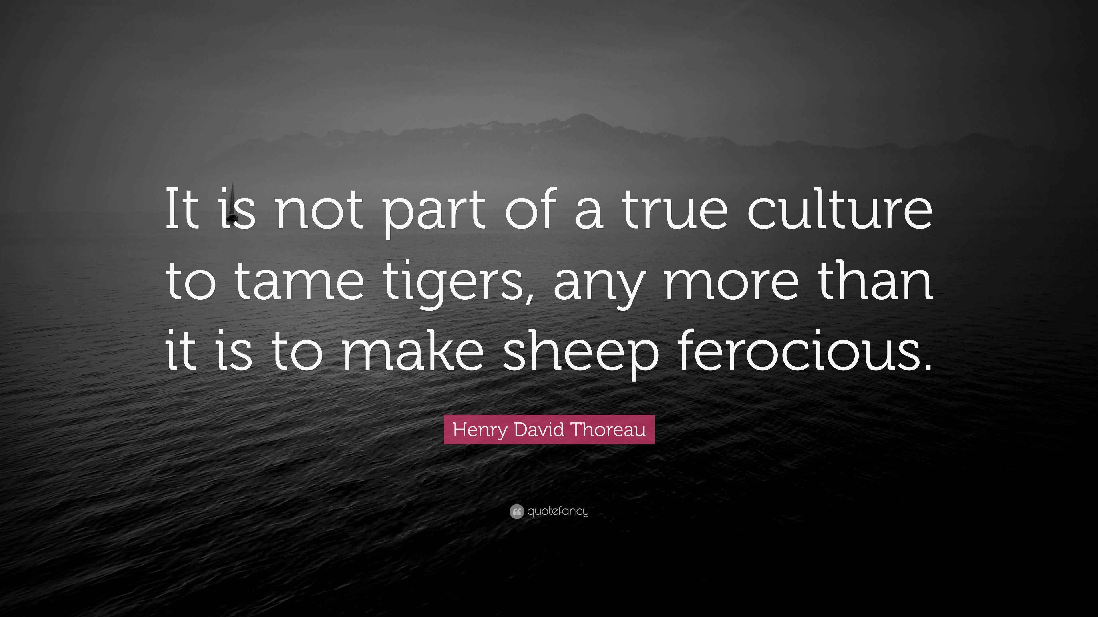 Henry David Thoreau Quote: “It is not part of a true culture to tame ...