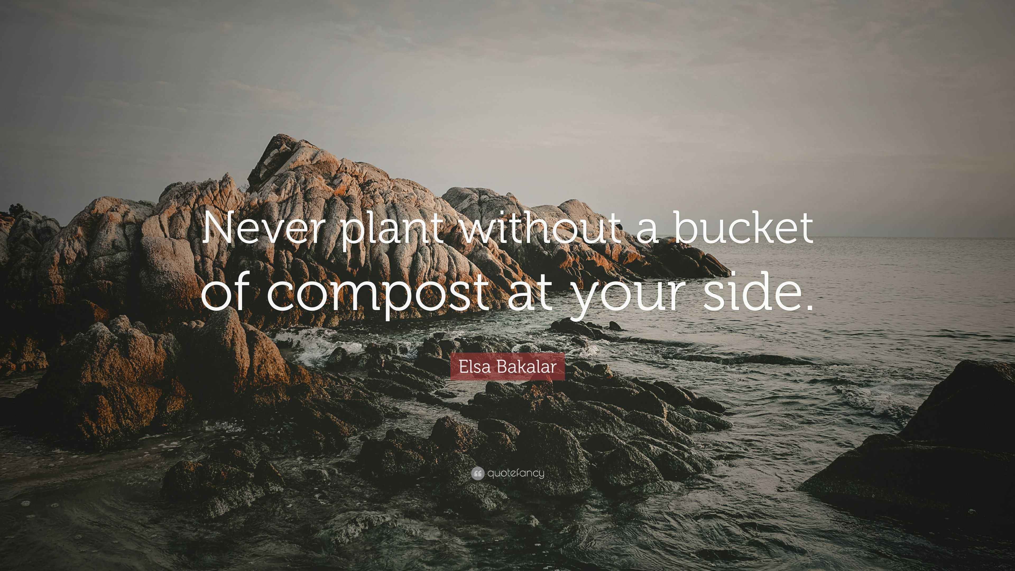 Elsa Bakalar Quote: “Never plant without a bucket of compost at your side.”