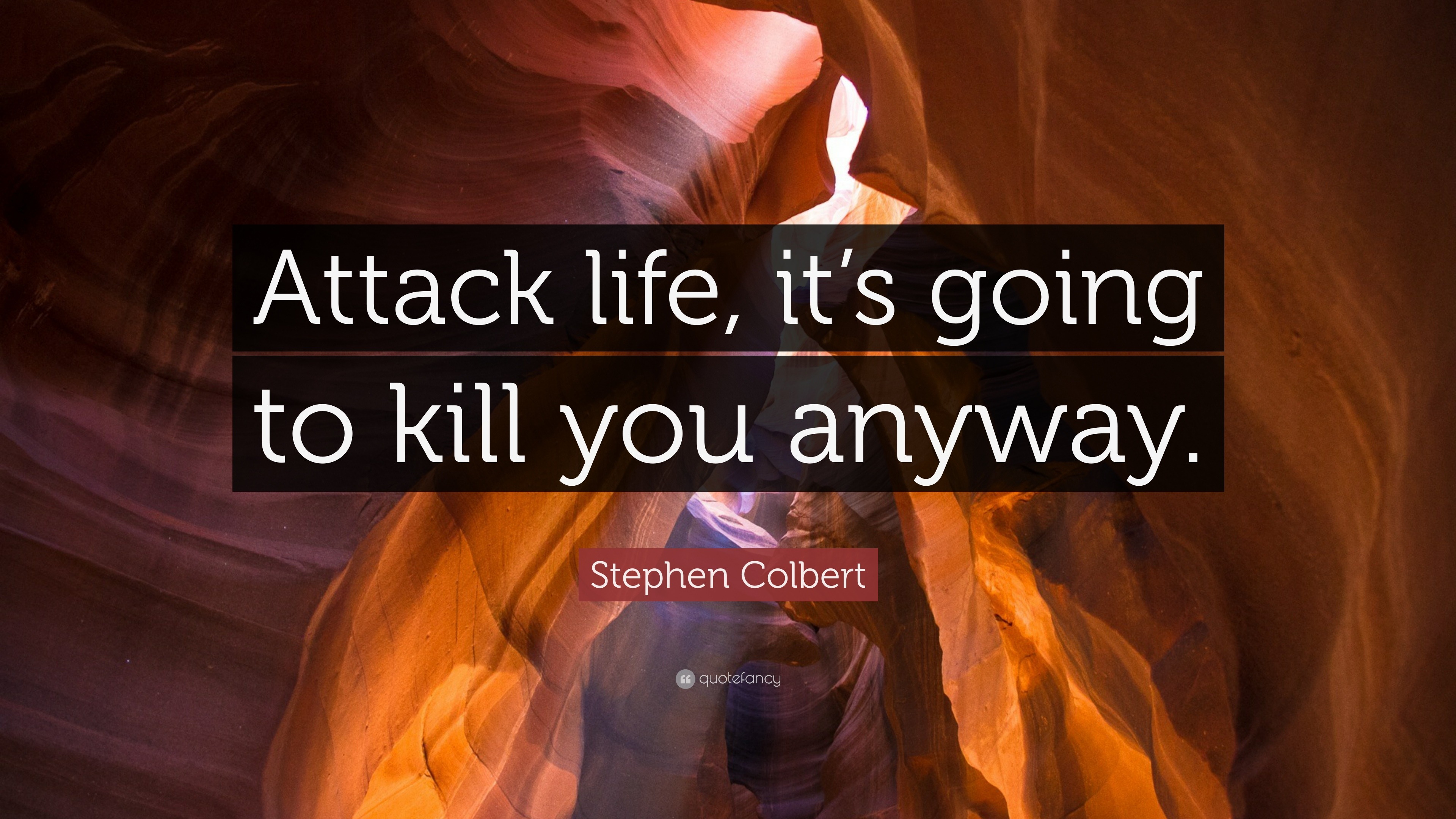 Stephen Colbert Quote: “Attack life, it’s going to kill you anyway.”