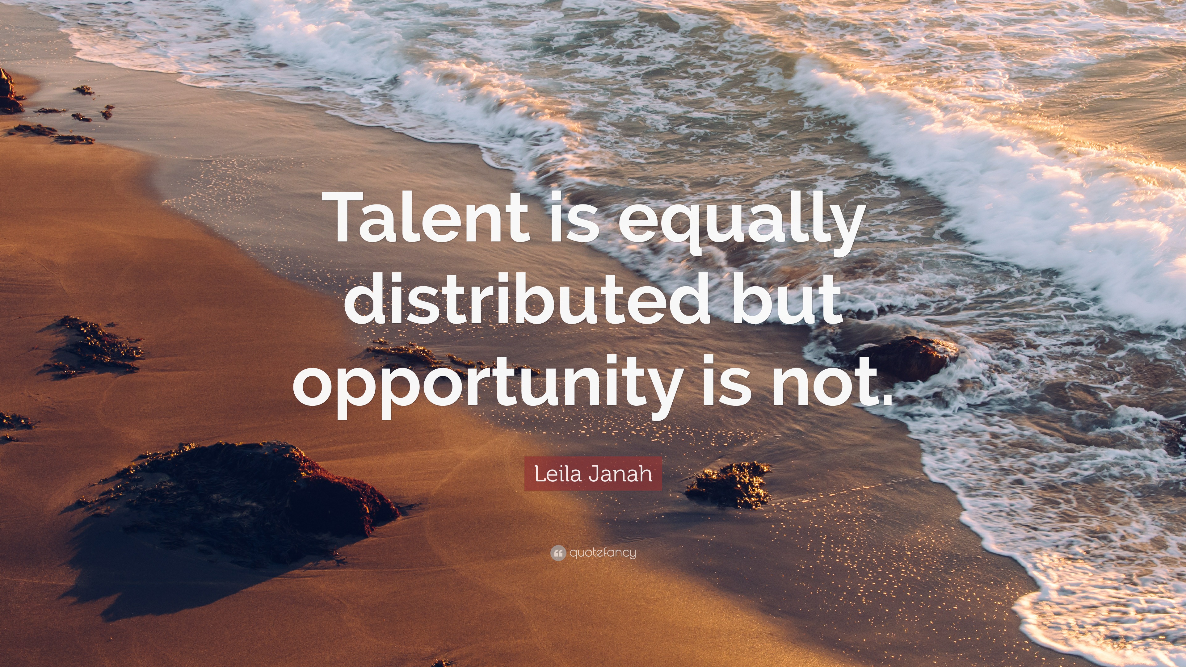 Leila Janah Quote: “Talent is equally distributed but opportunity is not.”