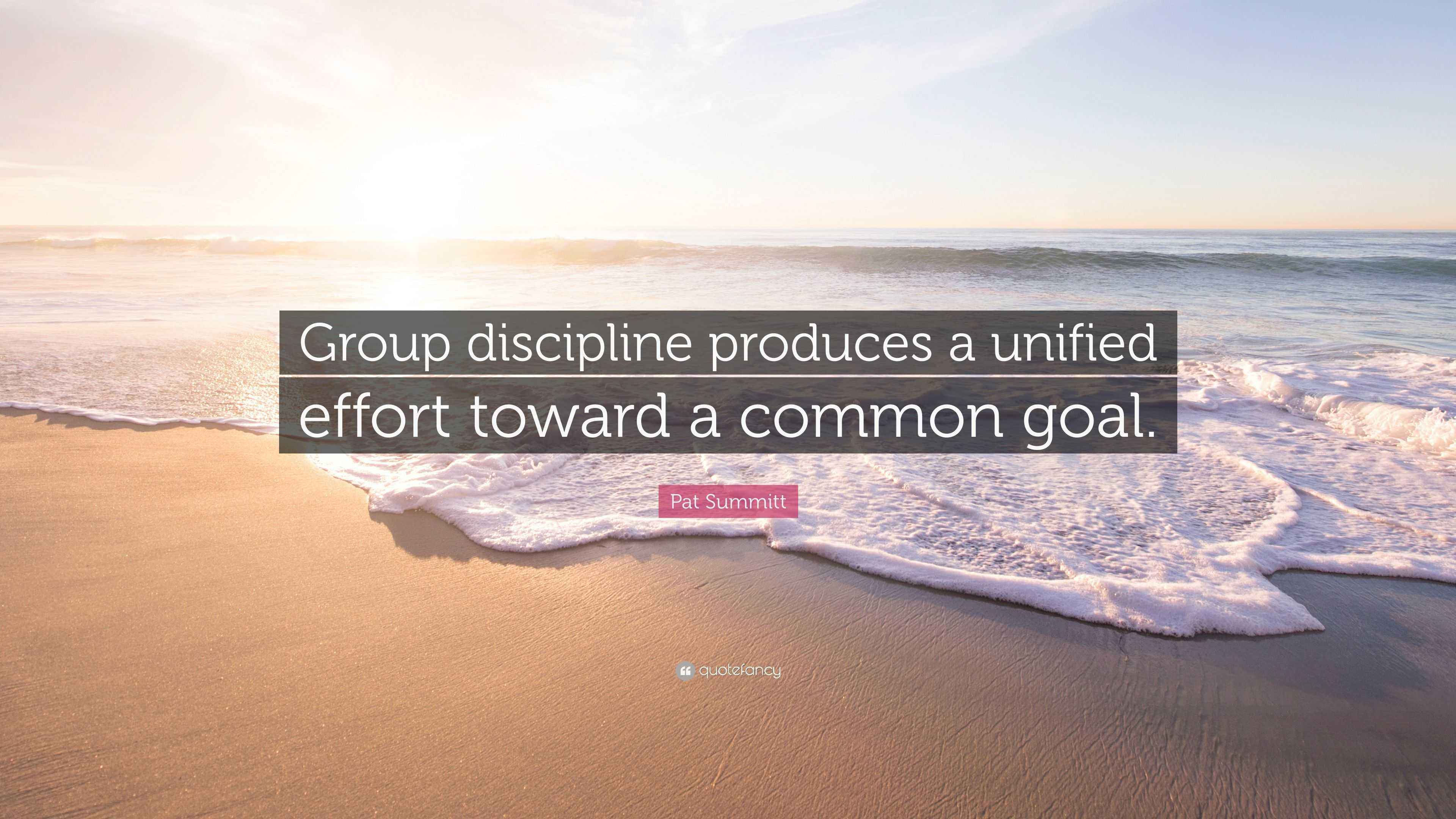 Pat Summitt Quote: “Group discipline produces a unified effort toward a ...