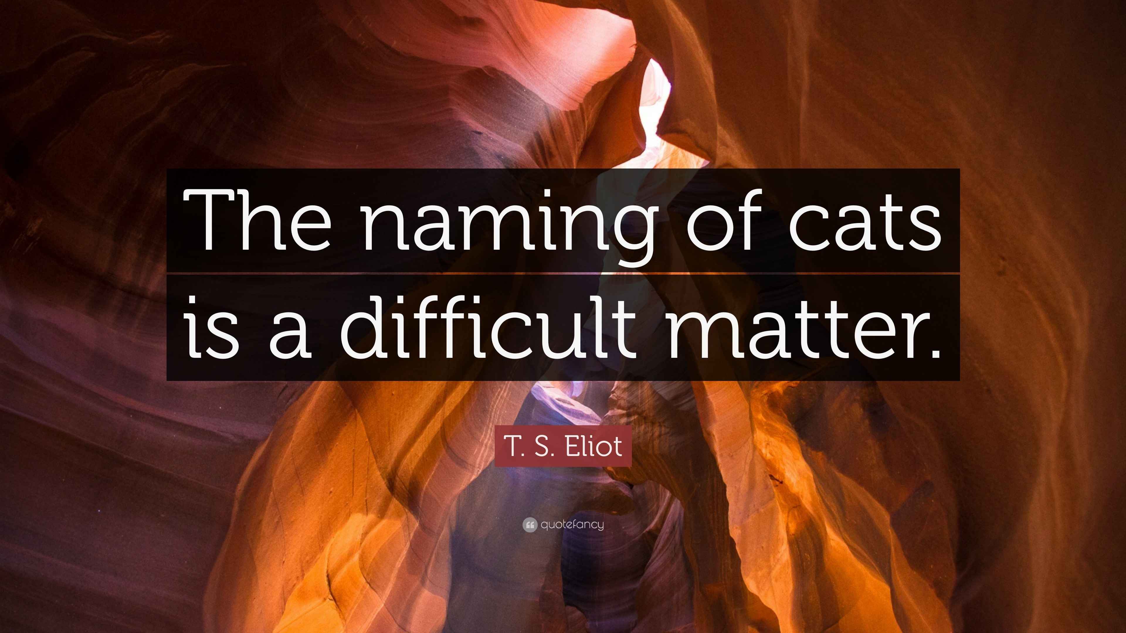 T. S. Eliot Quote: “The naming of cats is a difficult matter.”
